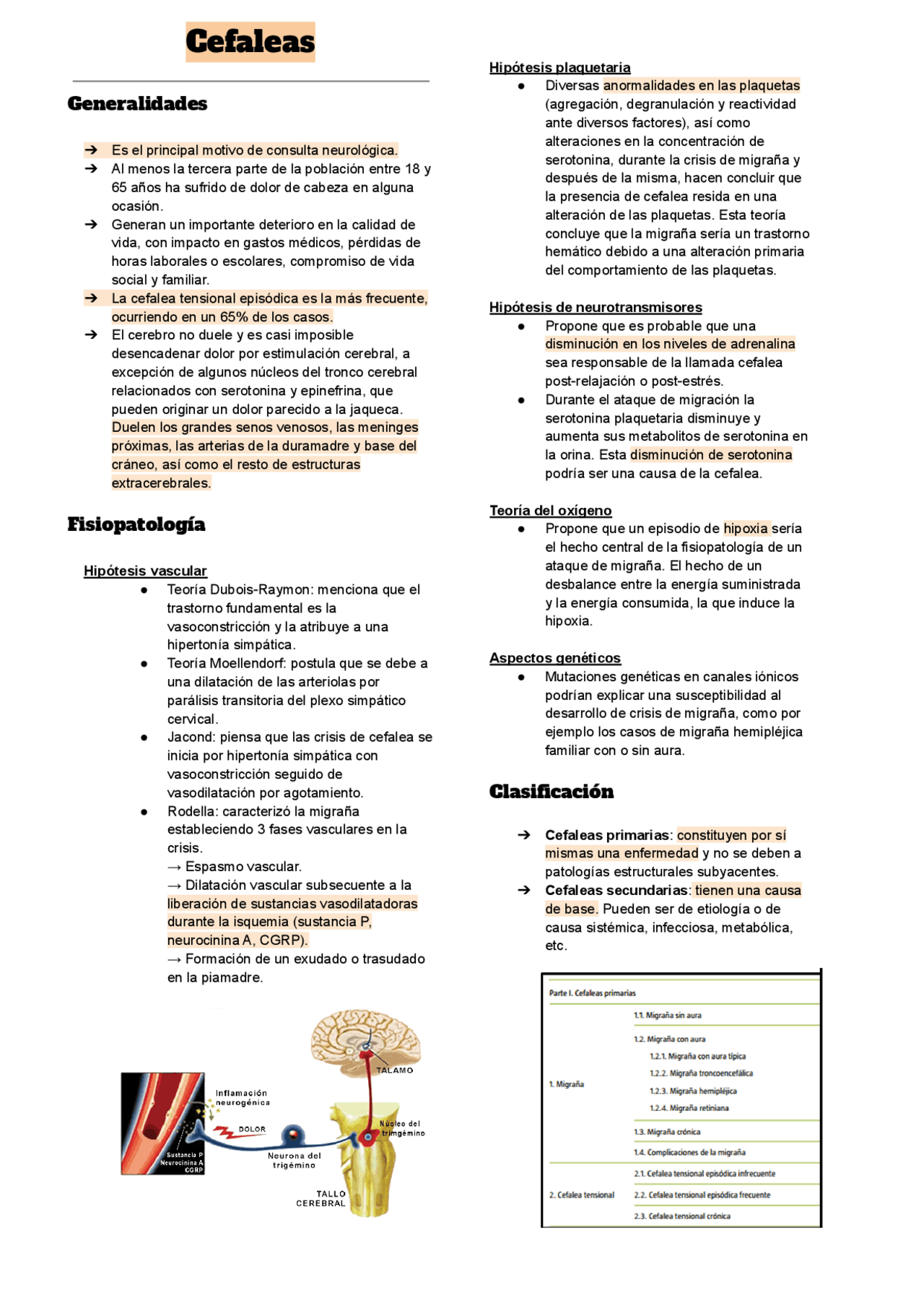 Tipos De Cefaleas Resumen Apuntes De Neurología Docsity