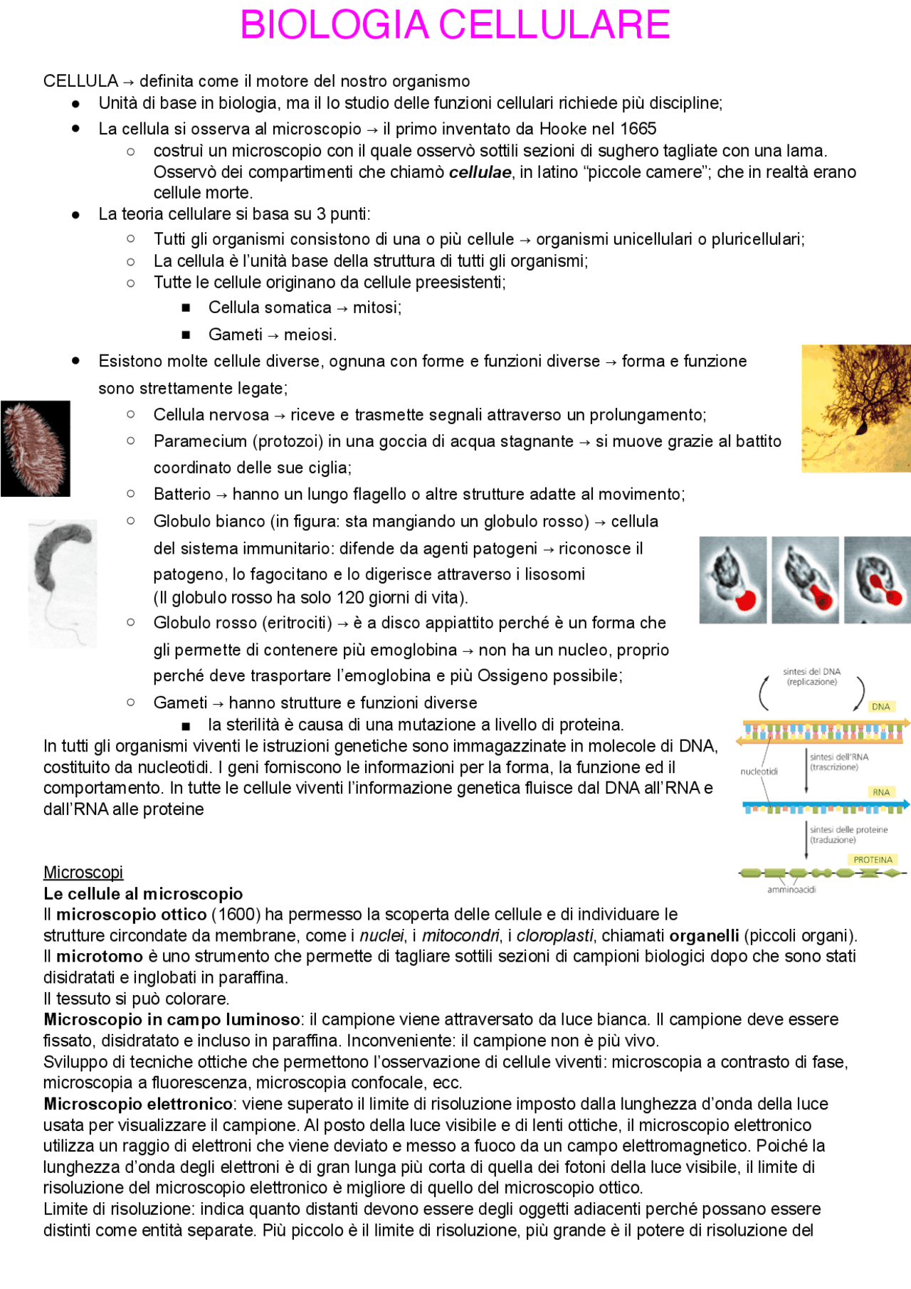 Biologia cellulare - cellula e biomolecole | Appunti di Biologia Cellulare | Docsity