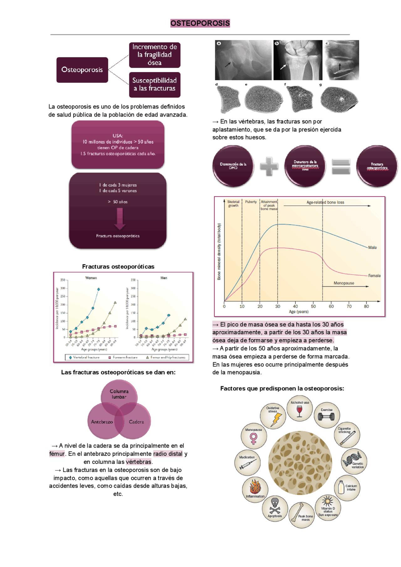 Resumen Sobre Osteoporosis Apuntes De Reumatología Docsity