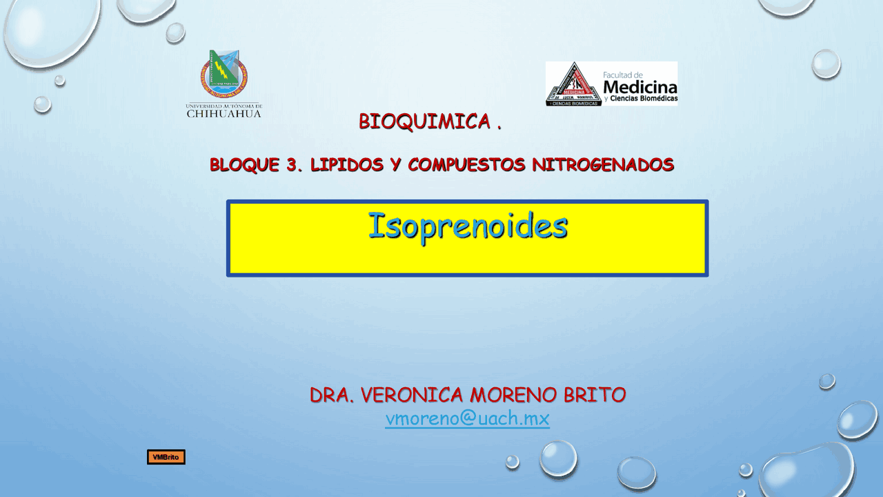 Isoprenoides y Lipidos: Terpenos y Esteroides | Diapositivas de ...