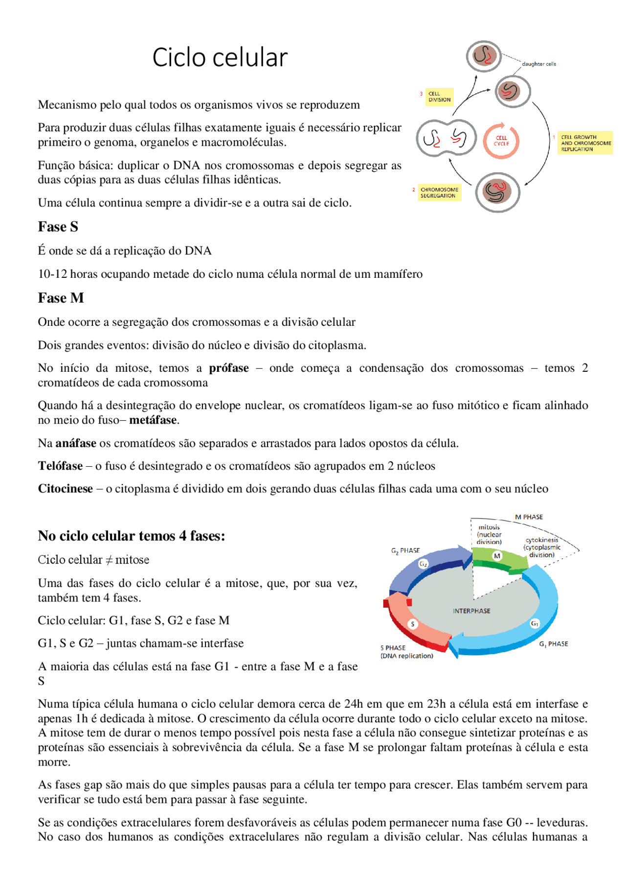 Dinamica Celular Ciclo Celular Resumos Biologia Docsity