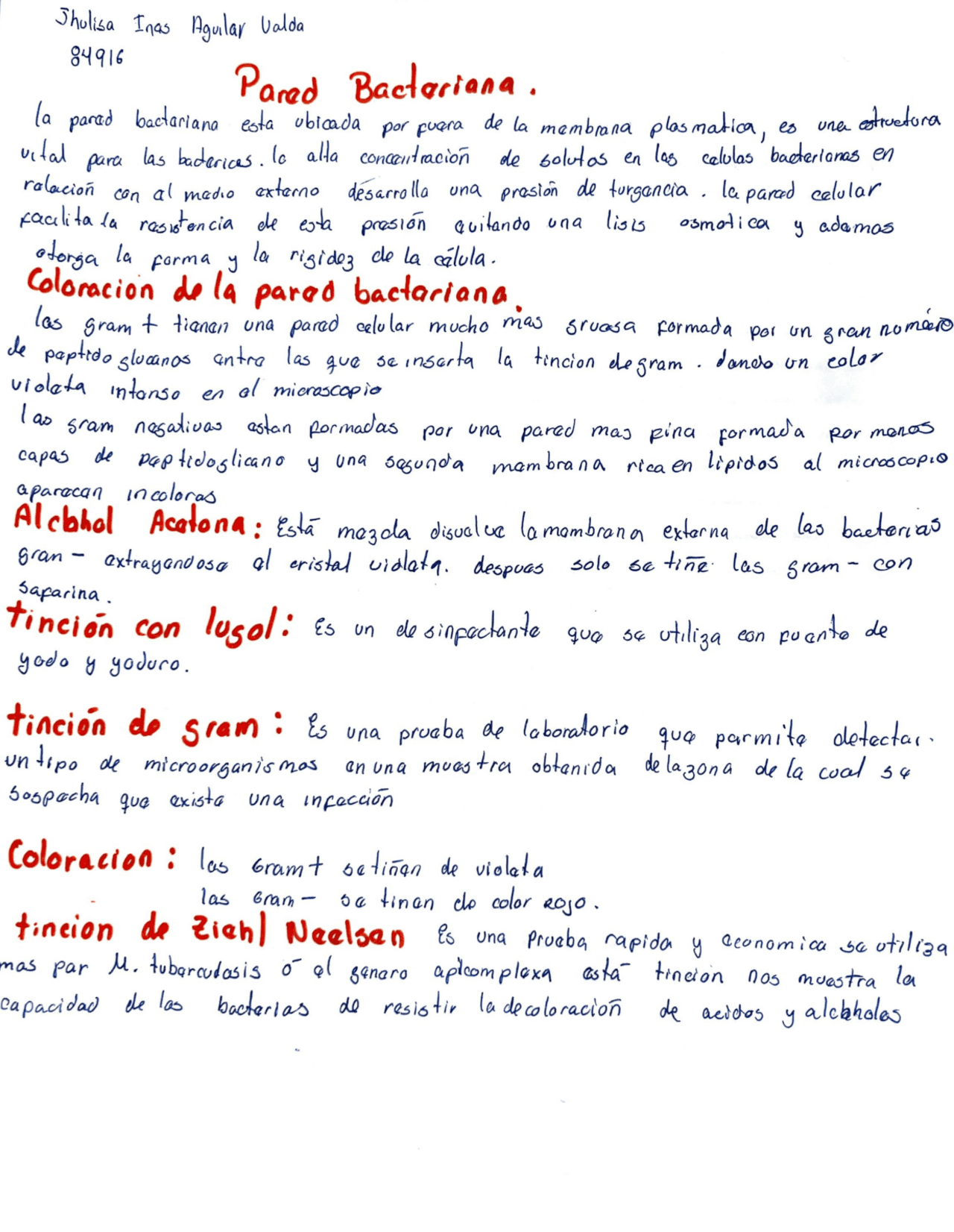 Antimicrobianos Resumen De Microbiología Y Virología Esquemas Y Mapas