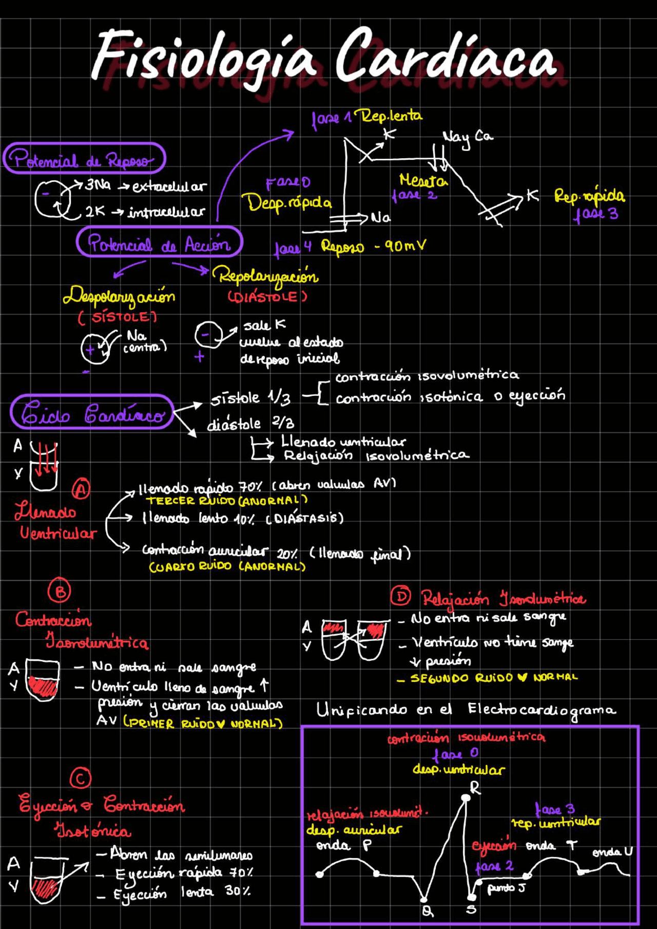 Resumen EKG (Fisiología Cardiaca) | Esquemas y mapas conceptuales de ...