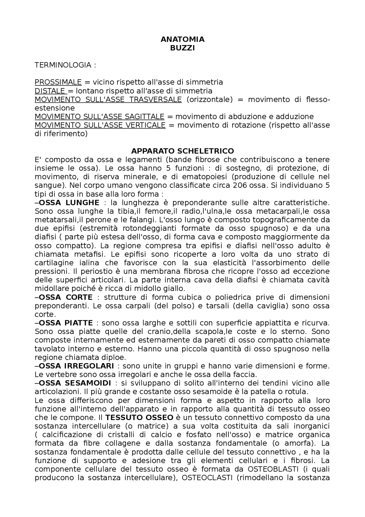 Anatomia Ossa Dispense Universitarie Dispense Di Anatomia Docsity