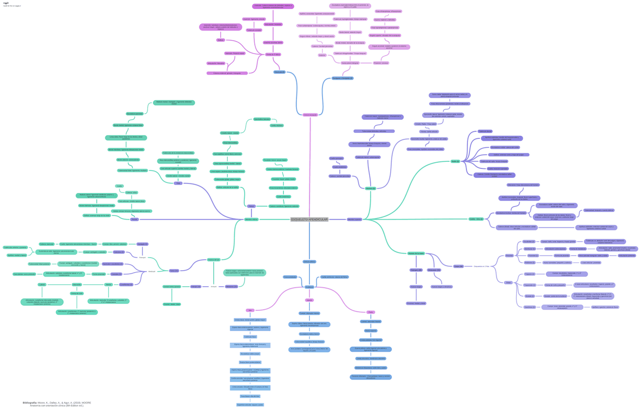 Sistema Esquelético Desarrollo Y Remodelación ósea Esquemas Y Mapas