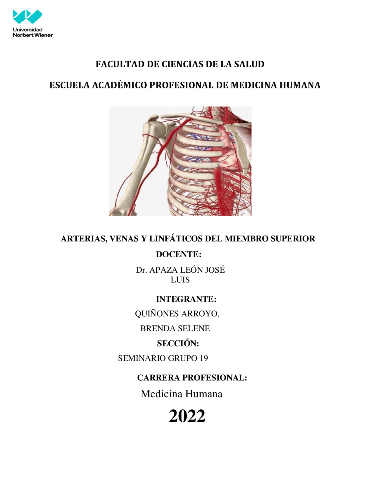 Documentos De Morfofisiología Resúmenes De Anatomía Docsity