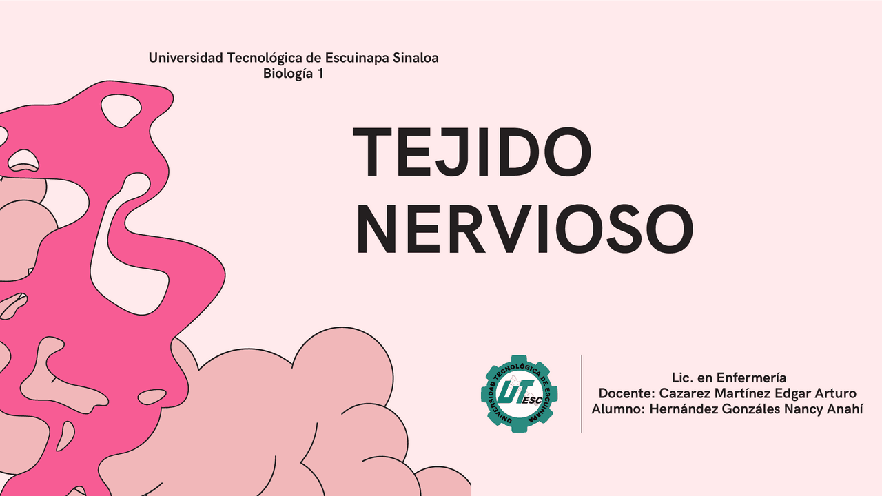 Caracteristicas Del Tejido Nervioso Diapositivas De Anatomía Aplicada