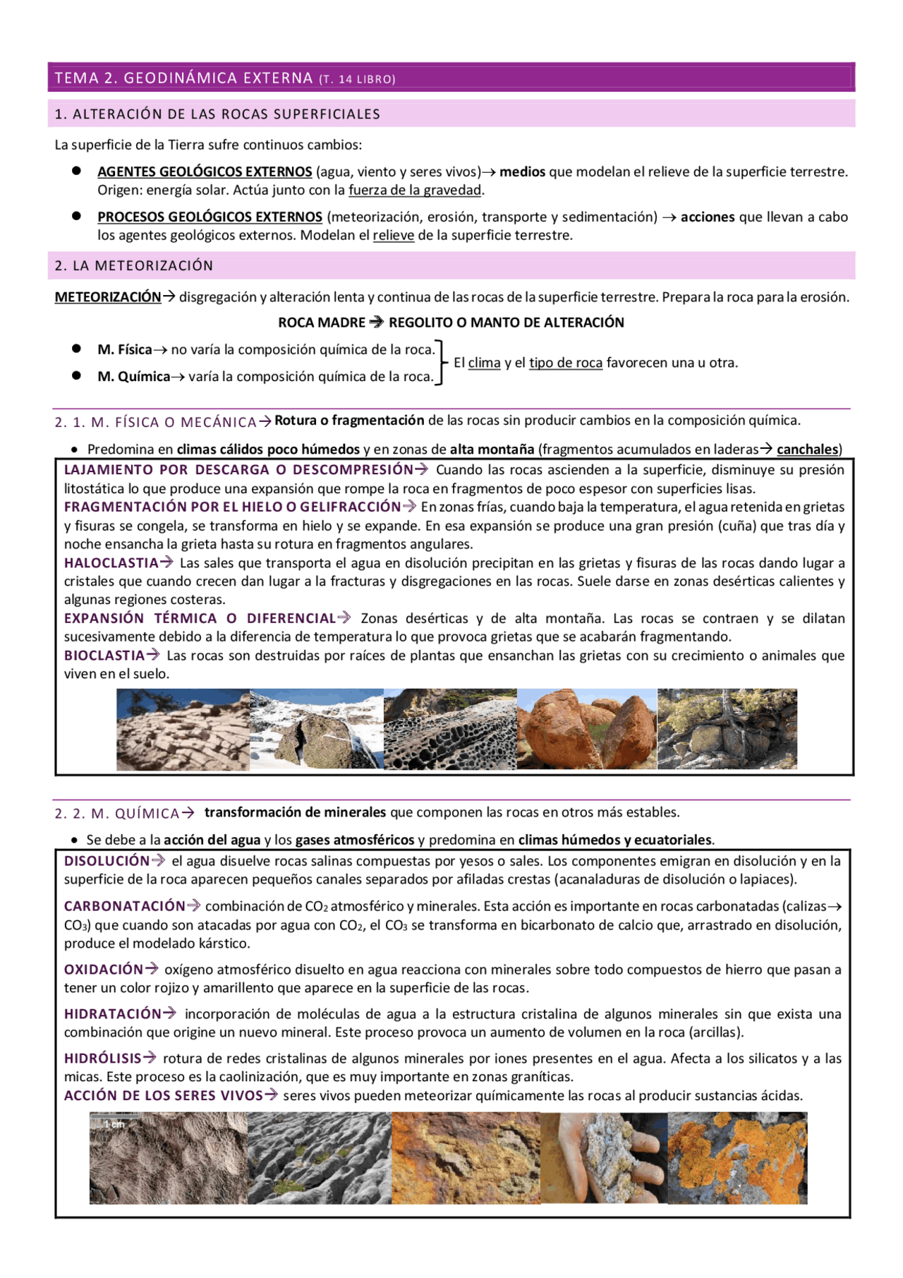 Tema 2 Geodinámica Externa Apuntes De Geología Docsity