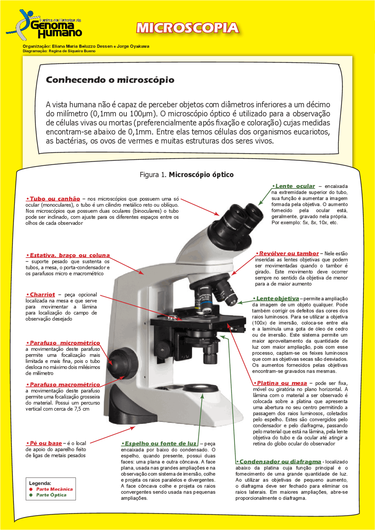 Microscopia Monografías Ensayos Microscopia Docsity
