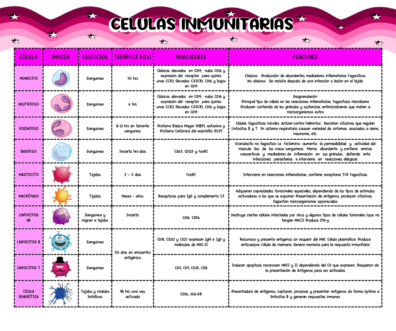 Inmunologia. celulas inmunologicas | Apuntes de Inmunología | Docsity