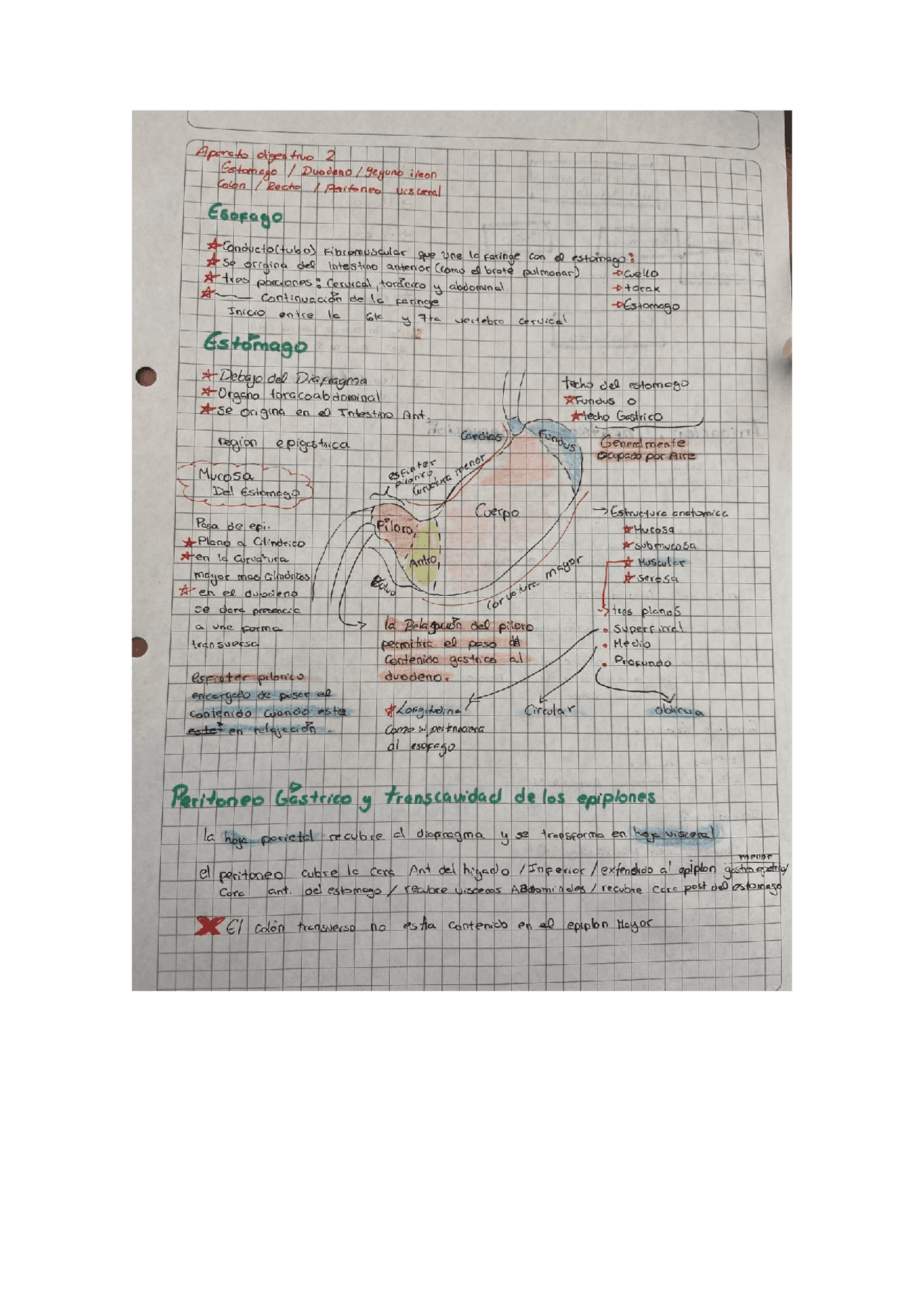 Tp14 Albert Guia Lecturas Resúmenes De Biología Docsity