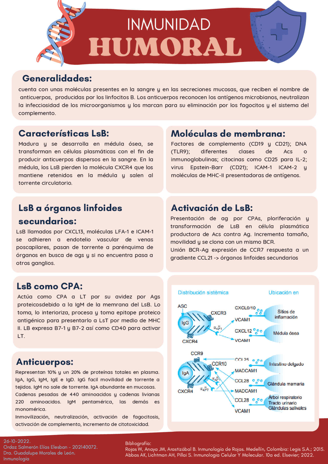 Introducción a la inmunidad Humoral | Resúmenes de Inmunología | Docsity