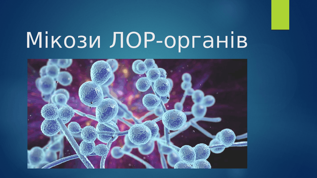 Мікози ЛОР органів презентація Презентации Оториноларингология Docsity