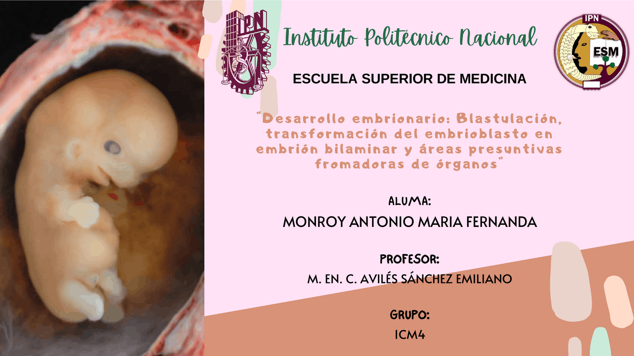 Etapa de la blastulacion | Diapositivas de Embriología | Docsity