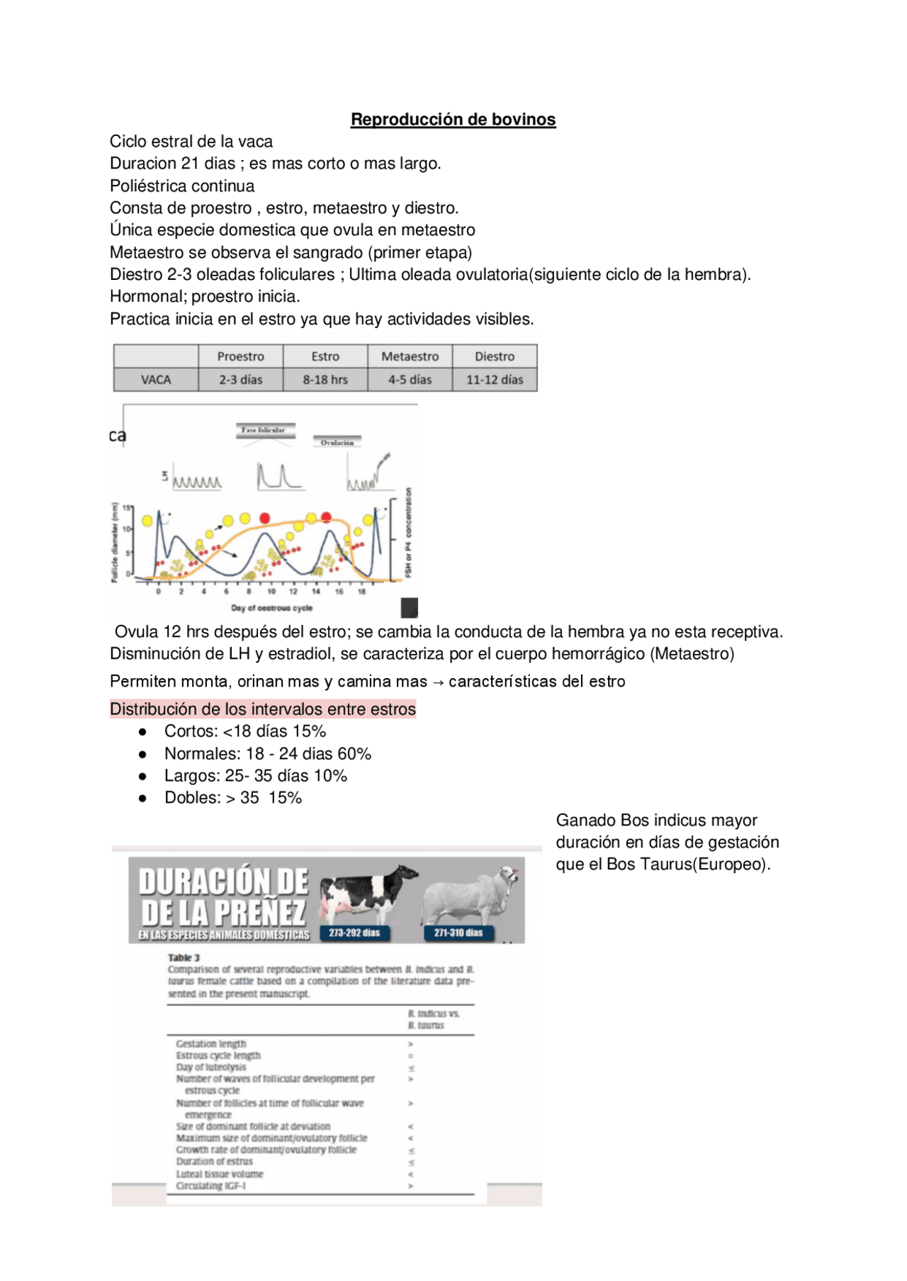 Apuntes Completos Del Semestre 1 Apuntes De Tecnologías De Producción