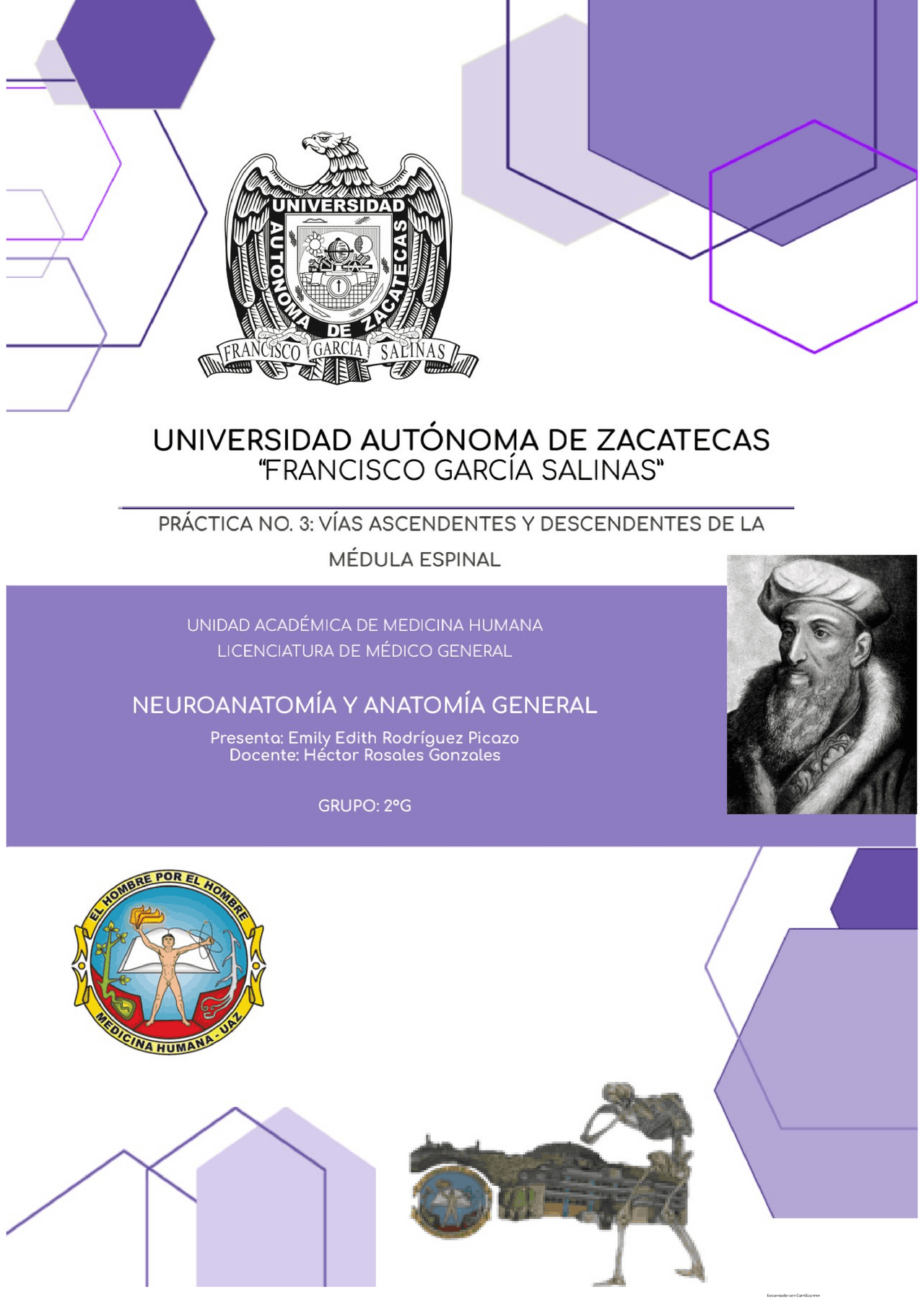 Practica De Anatomía Monografías Ensayos De Anatomía Aplicada Docsity