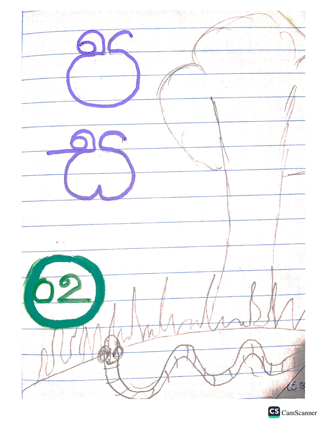 The Soil Science lesson- lecture notes for A/Ls | Lecture notes ...