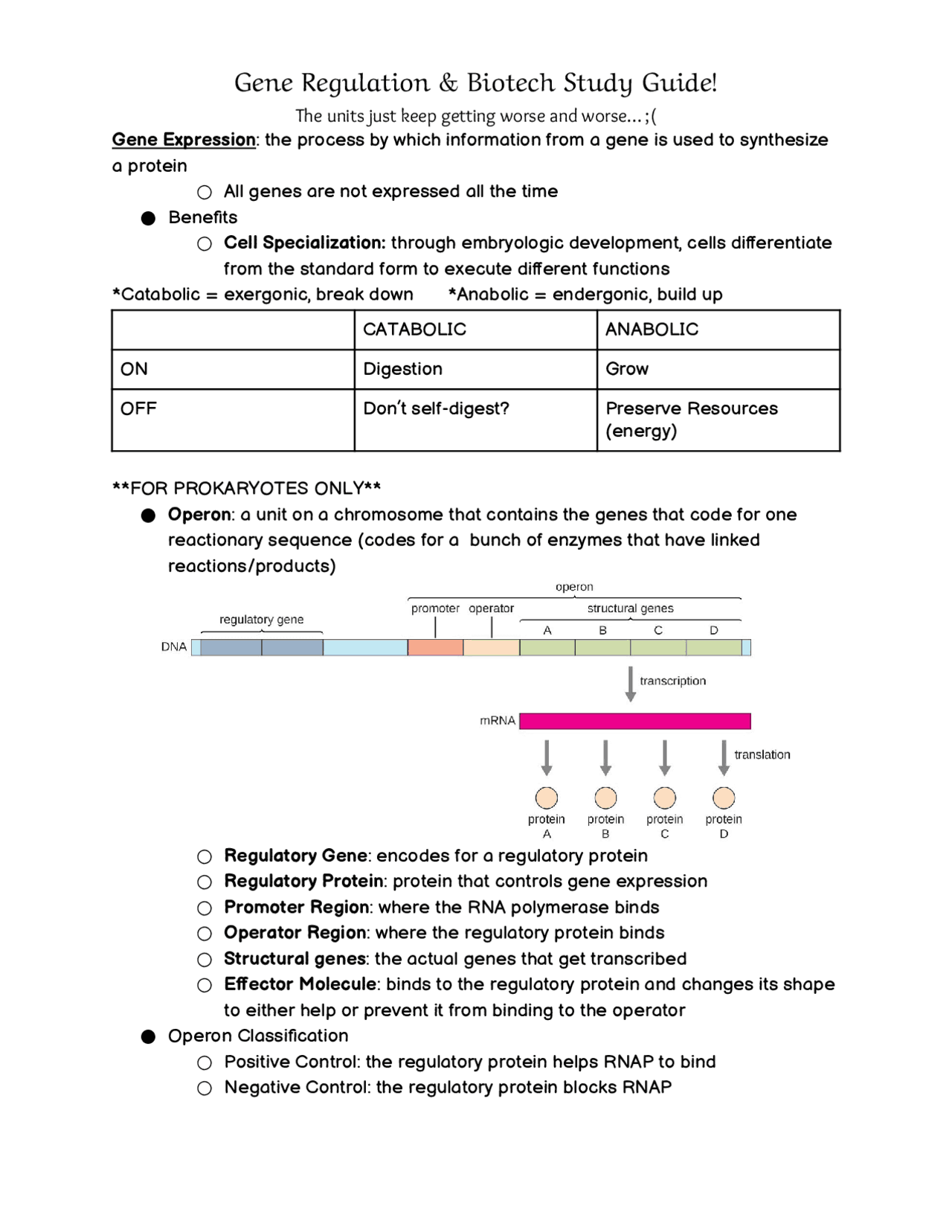 Gene Regulation & Biotech Study Guide | Study Guides, Projects ... Gene Regulation & Biotech Study Guide | Study Guides, Projects ...