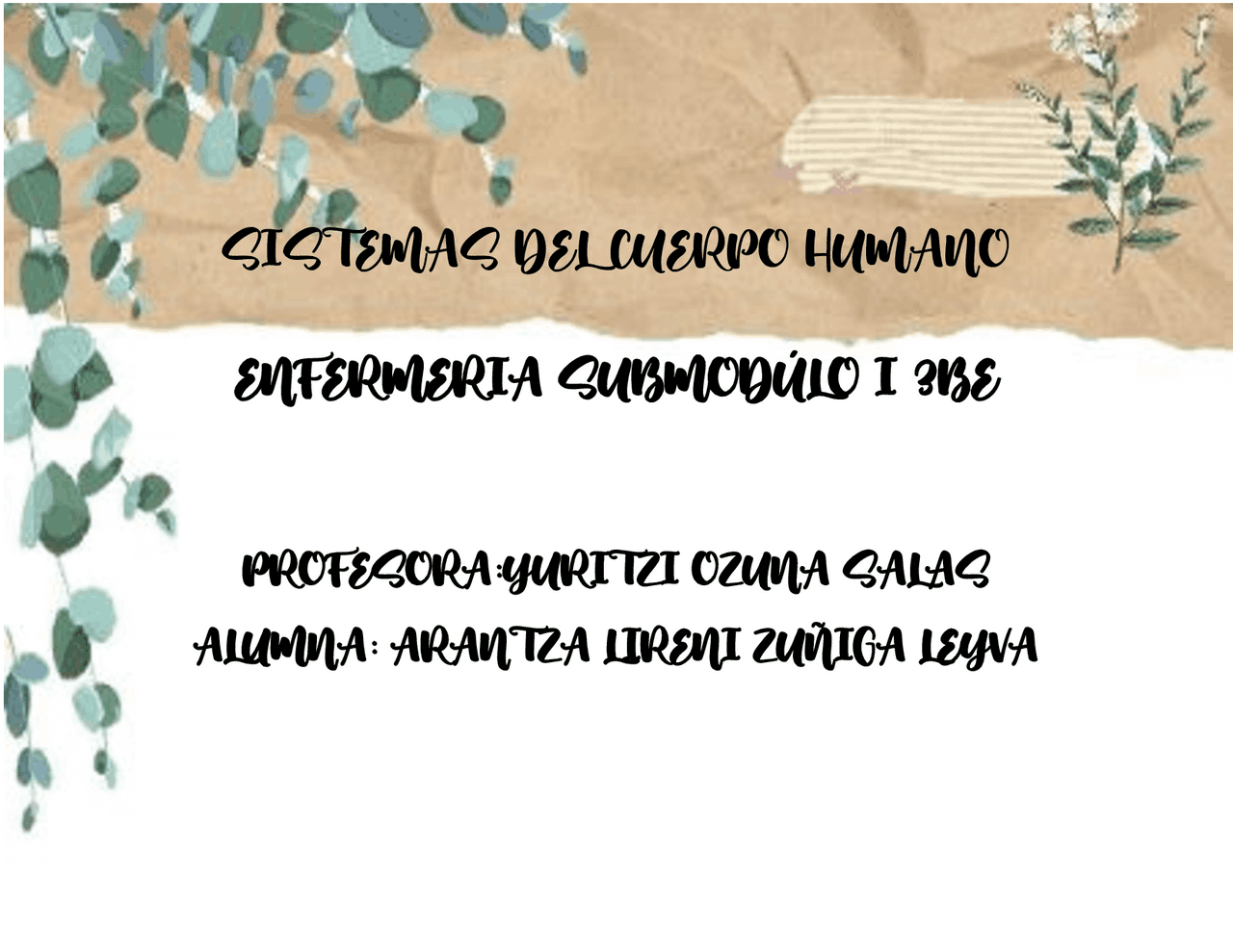 Sistemas Del Cuerpo Humano Ejercicios De Anatomía Aplicada Docsity