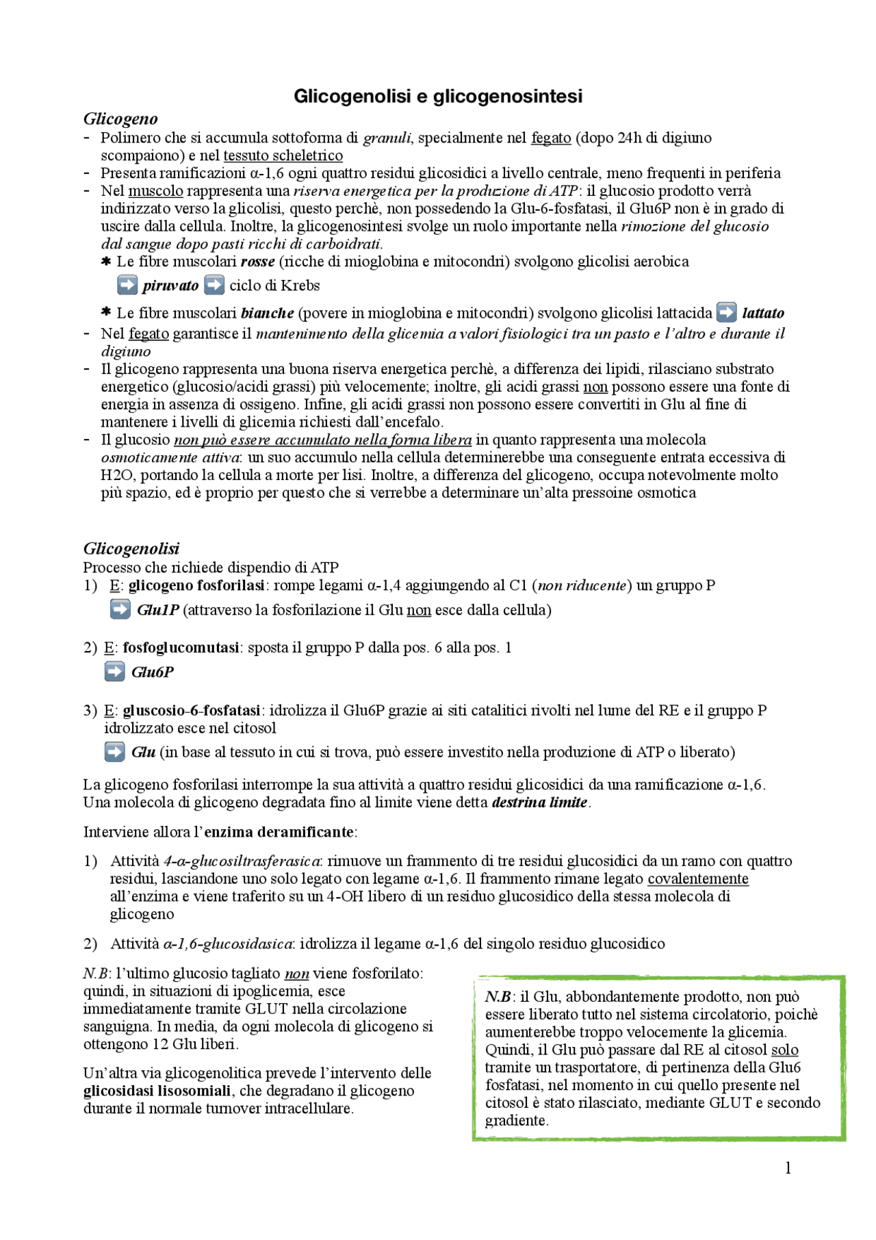 Schema di Biochimica: Glicogenolisi e Glicogenosintesi | Schemi e mappe ...