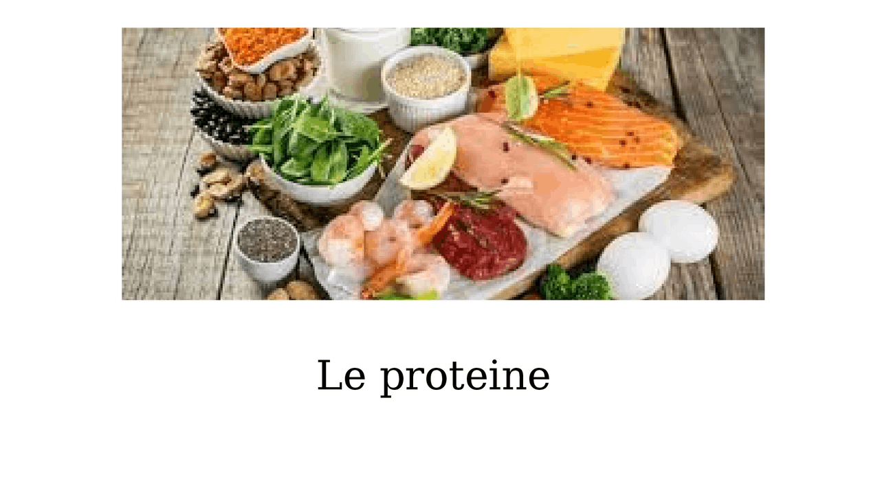 Le Proteine Su Powerpoint Slide Di Educazione Fisica Docsity