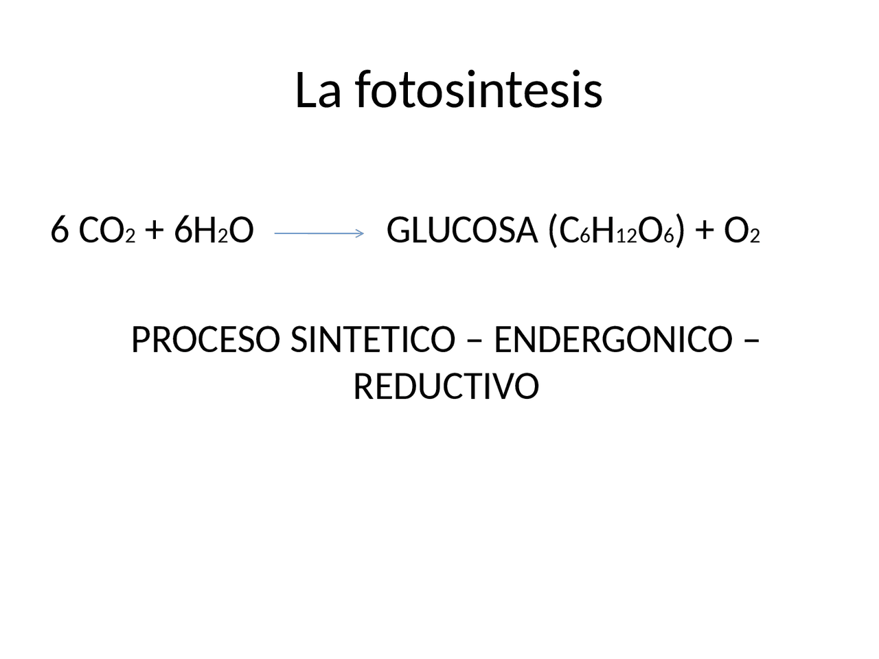Fotosíntesis: Proceso Químico que Transforma Energía Luminosa en ...