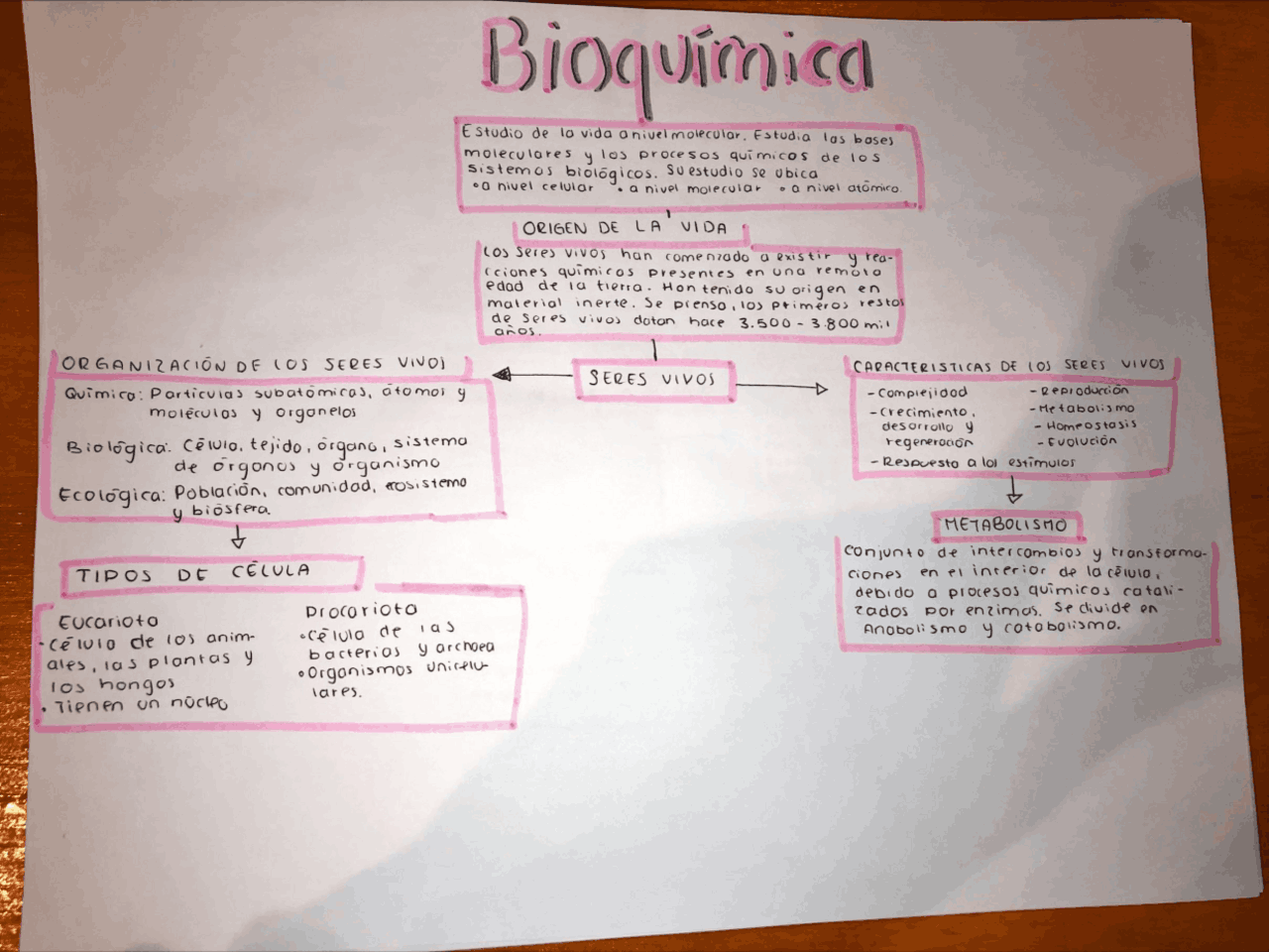 Bioquímica, agua, carbohidratos y lipidos | Esquemas y mapas conceptuales de Bioquímica | Docsity