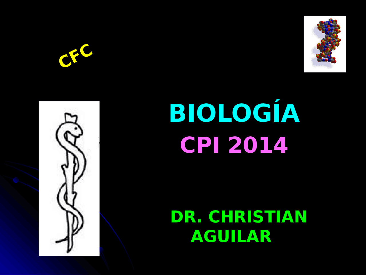 Cavidad Bucal Y Lengua Resúmenes De Anatomía Docsity