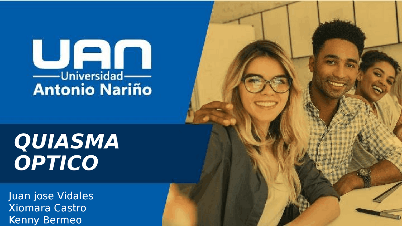 Anatomia y fisiologia del quiasma optico | Diapositivas de ...