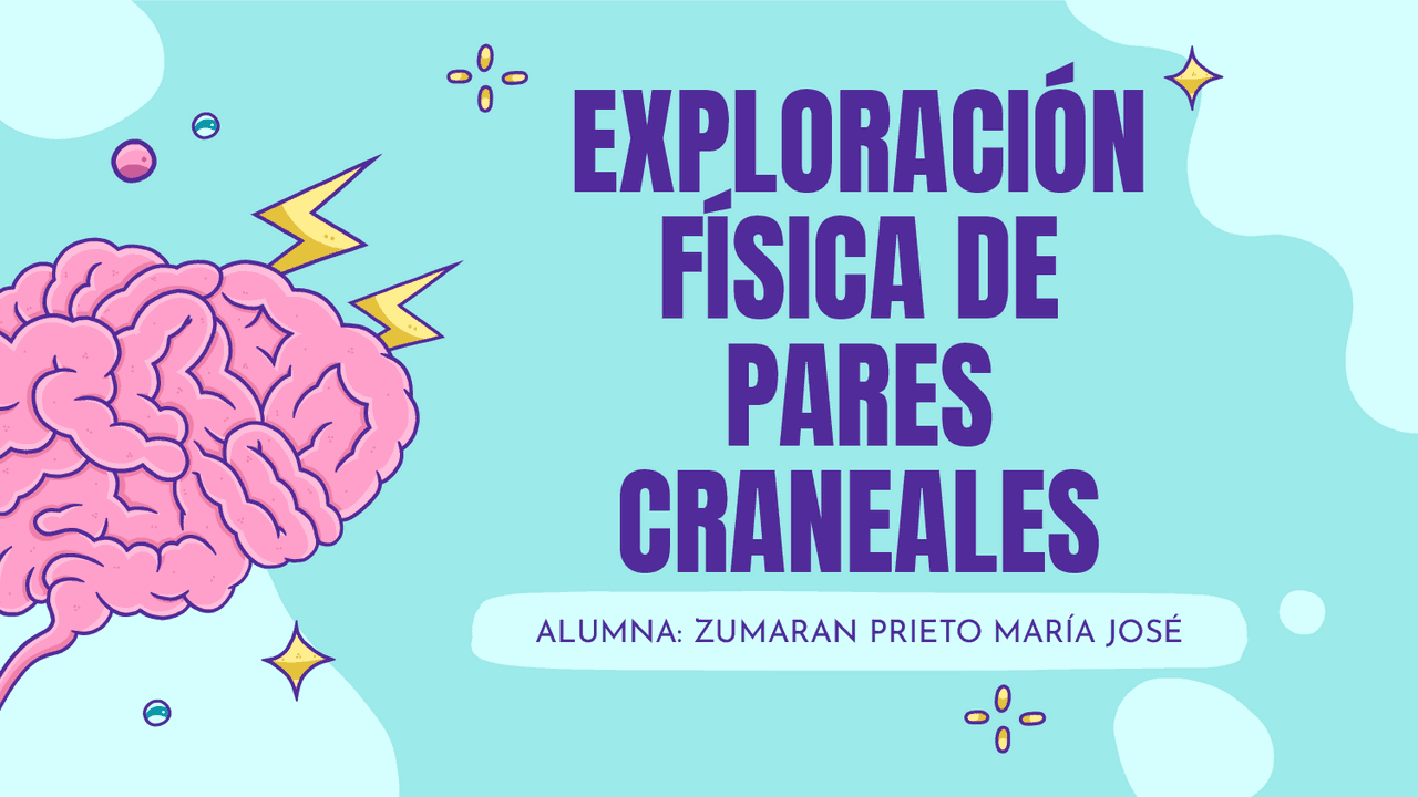 Evaluación De Pares Craneales Resúmenes De Semiología Docsity