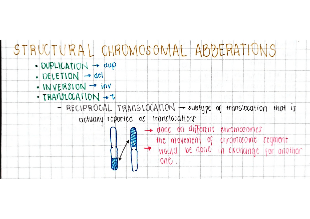 Structural Chromosome Aberrations | Study notes Medical Sciences | Docsity