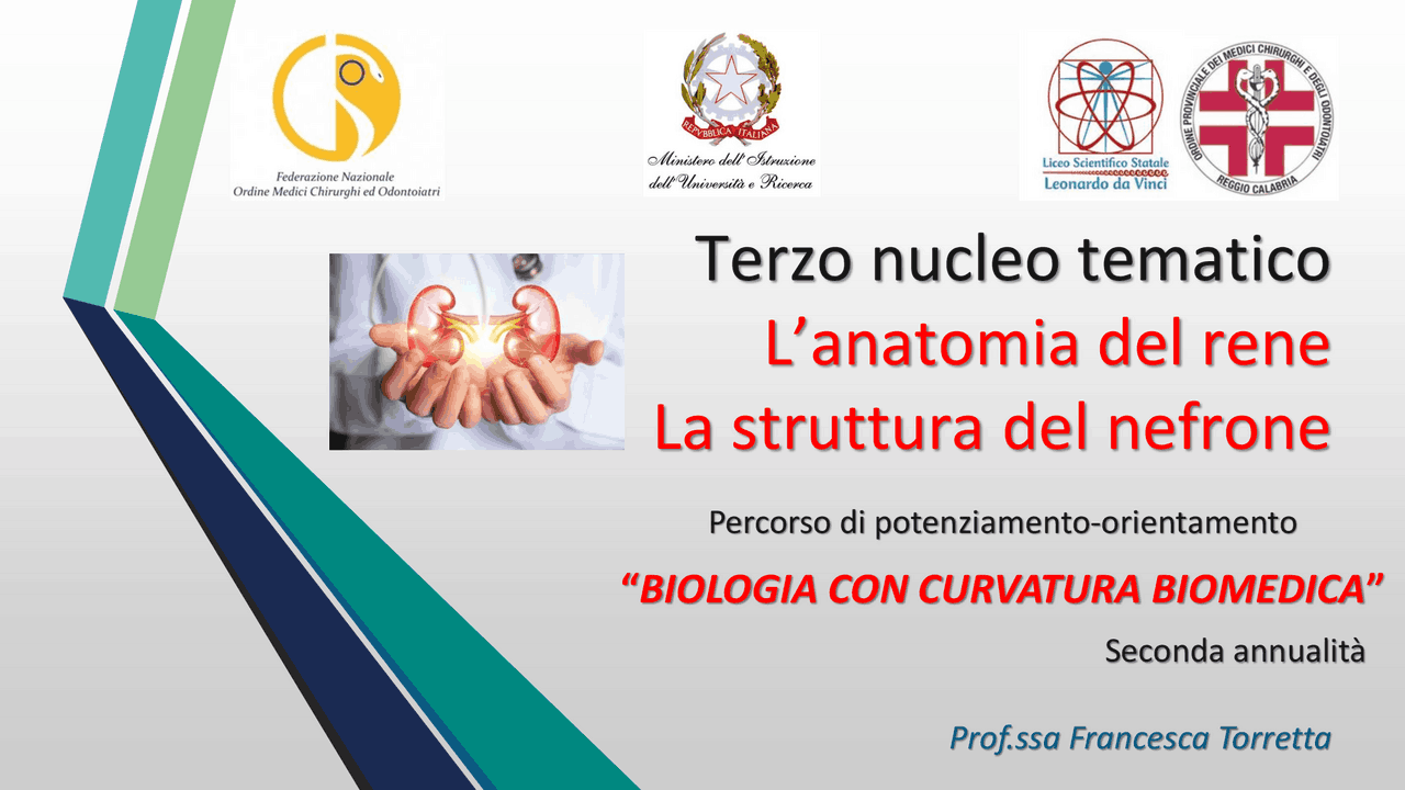 Appunti Di Anatomia Slide Di Scienze Umane Docsity