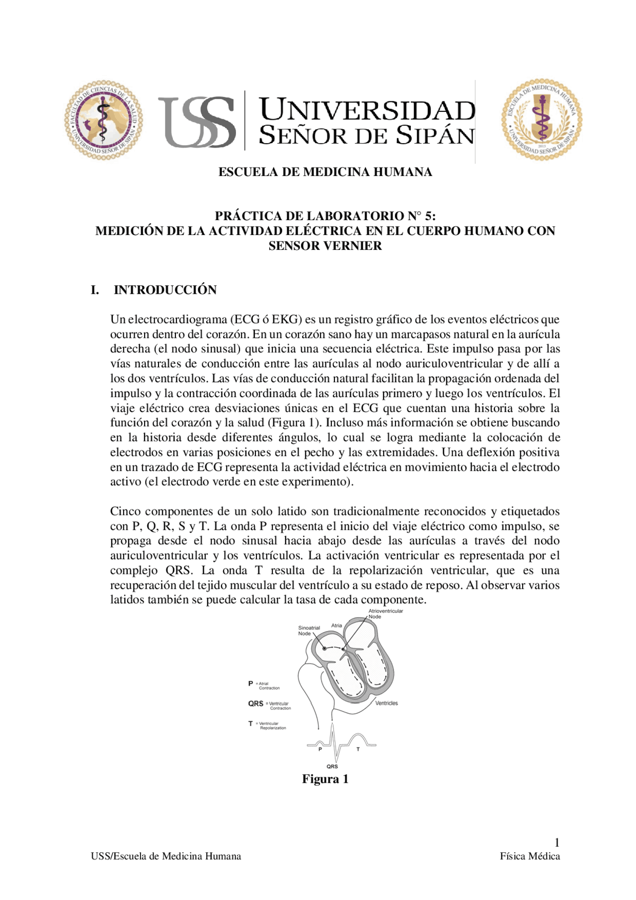 Lipidos Y Carbohidratos Diapositivas De Bioquímica Docsity