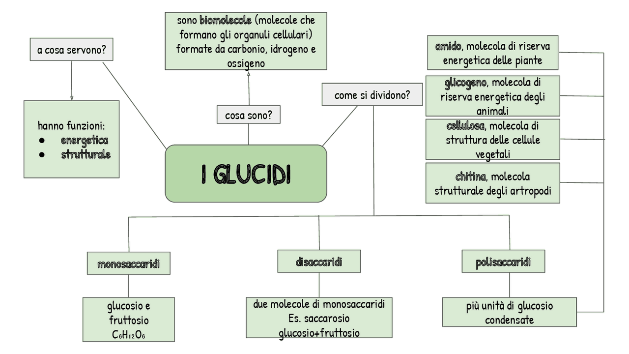 Mappa Concettuale Glucidi Schemi E Mappe Concettuali Di Biologia