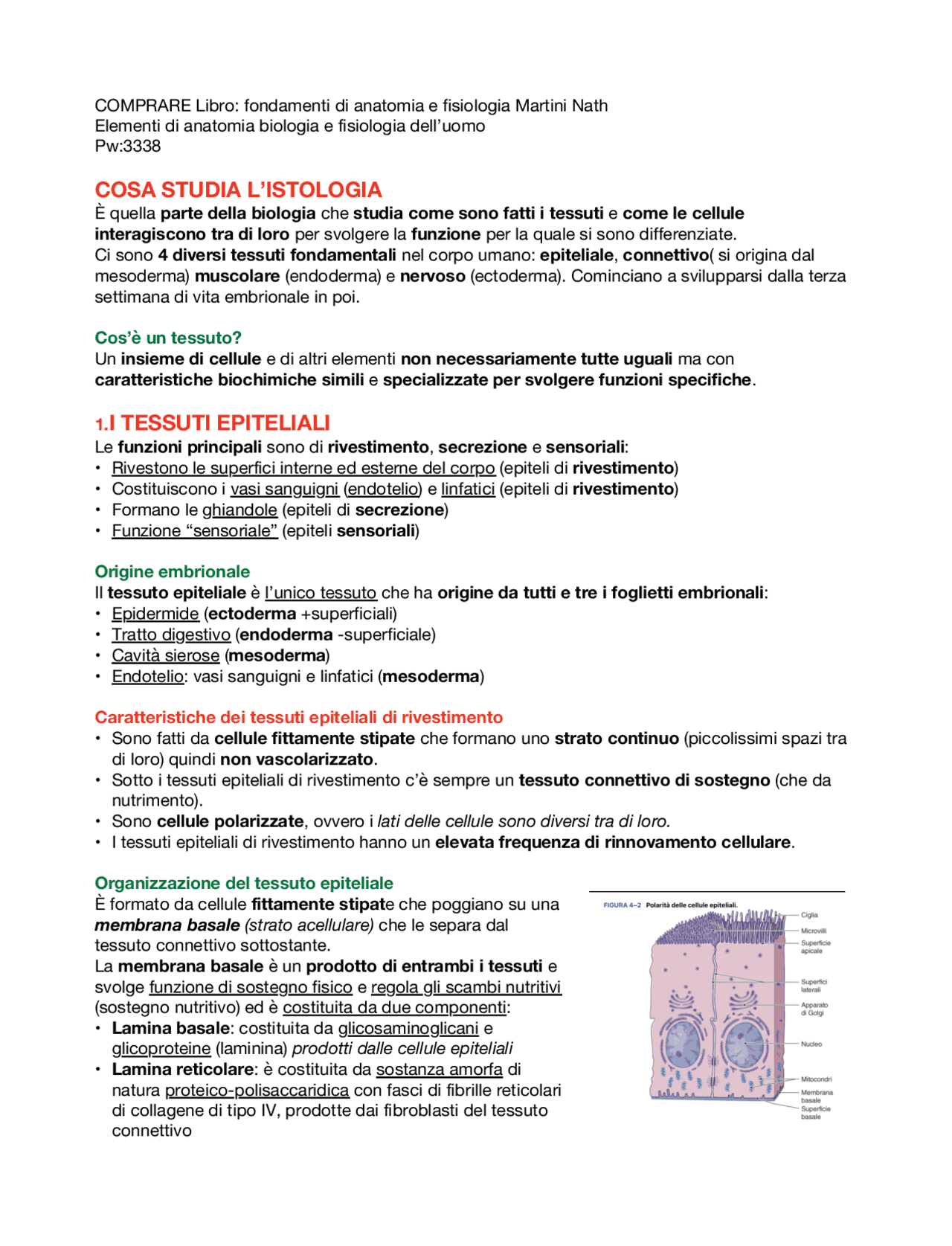 Elementi Di Istologia Appunti Di Istologia Docsity