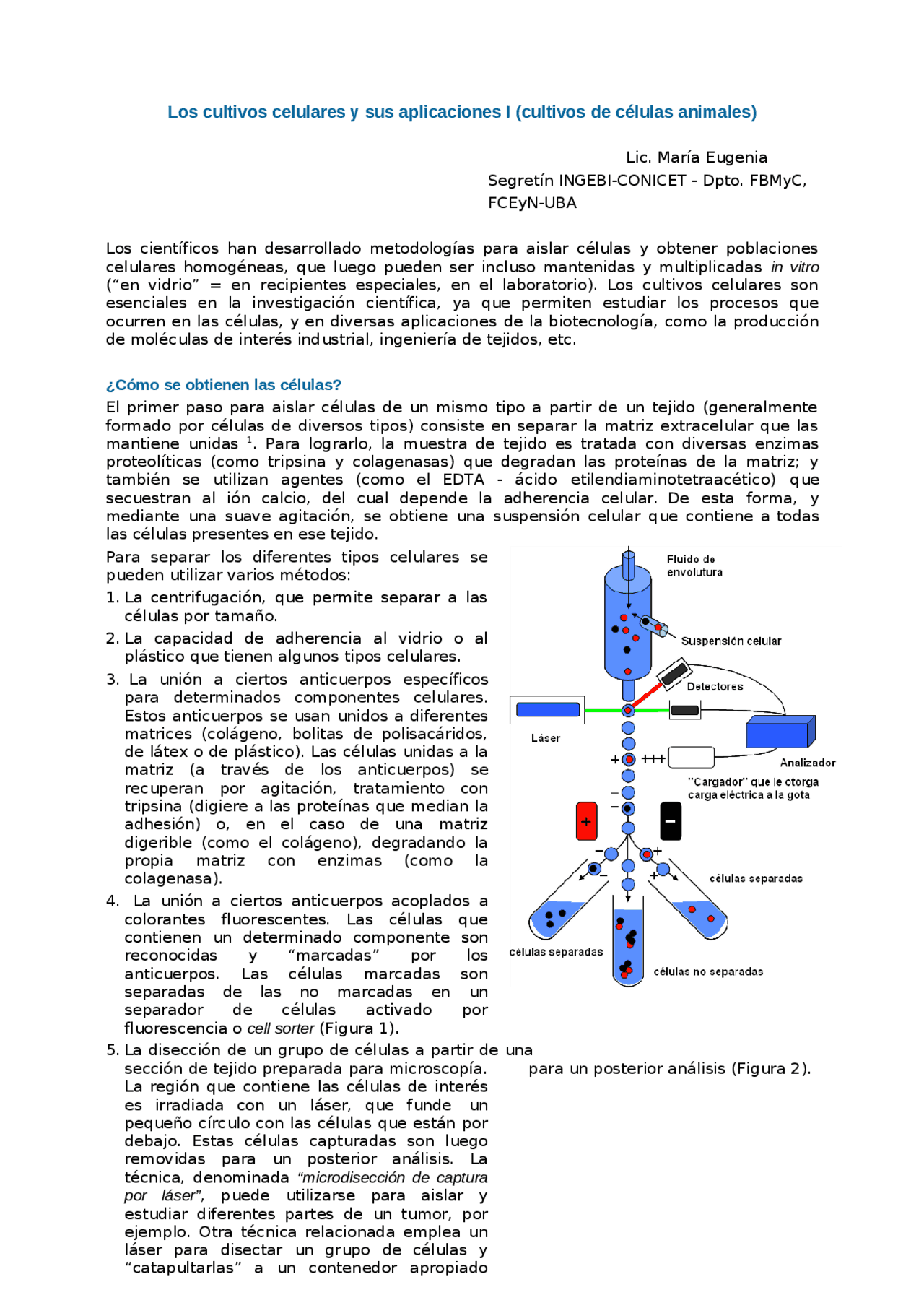 Tipos De Cultivos Celulares Resúmenes De Biología Docsity