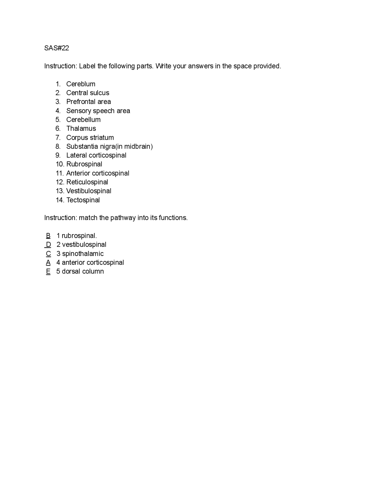 Hes021 Lecture And Laboratory Lecture Notes Anatomy Docsity