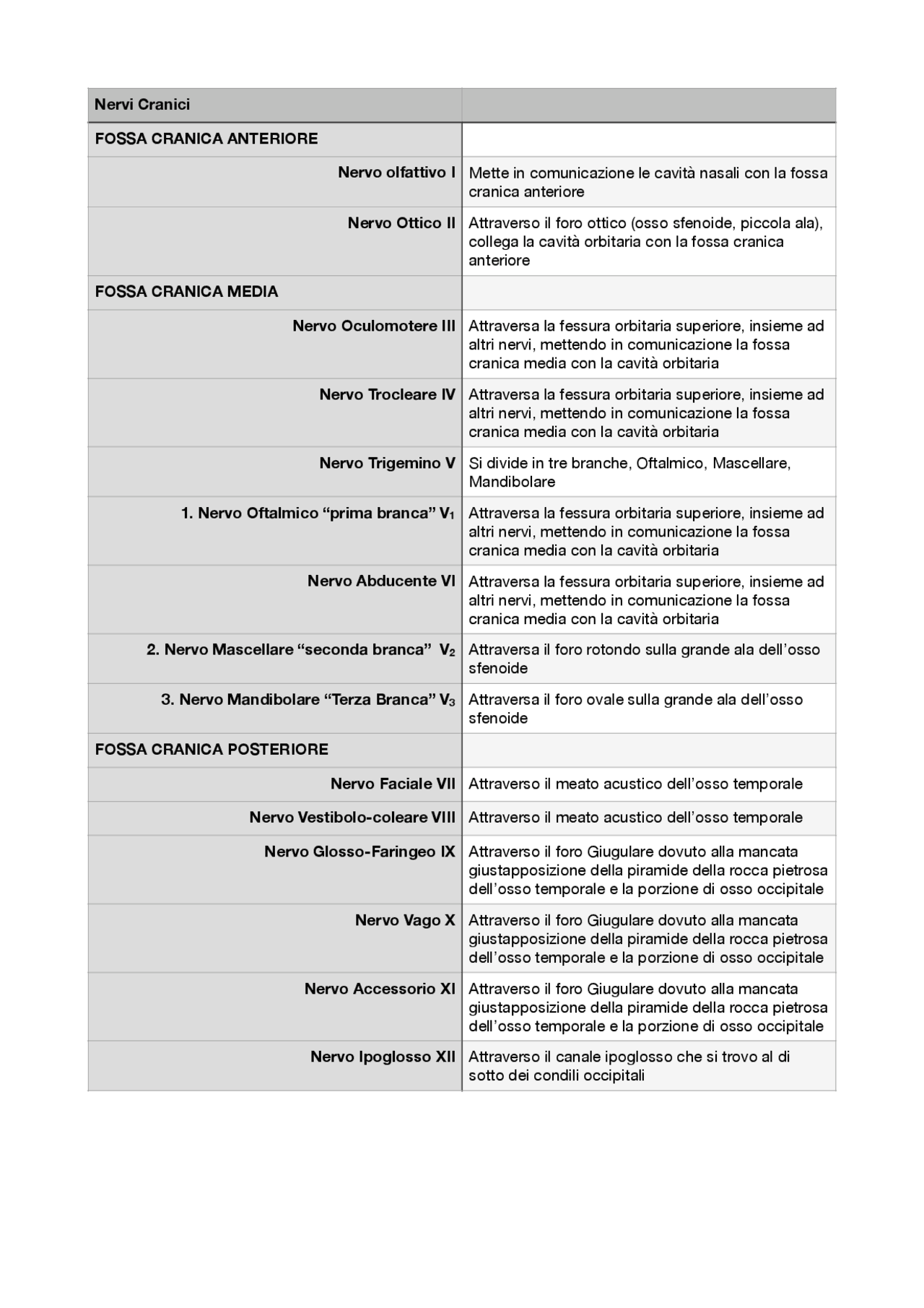 Tabella Nervi Cranici Schemi E Mappe Concettuali Di Anatomia Docsity