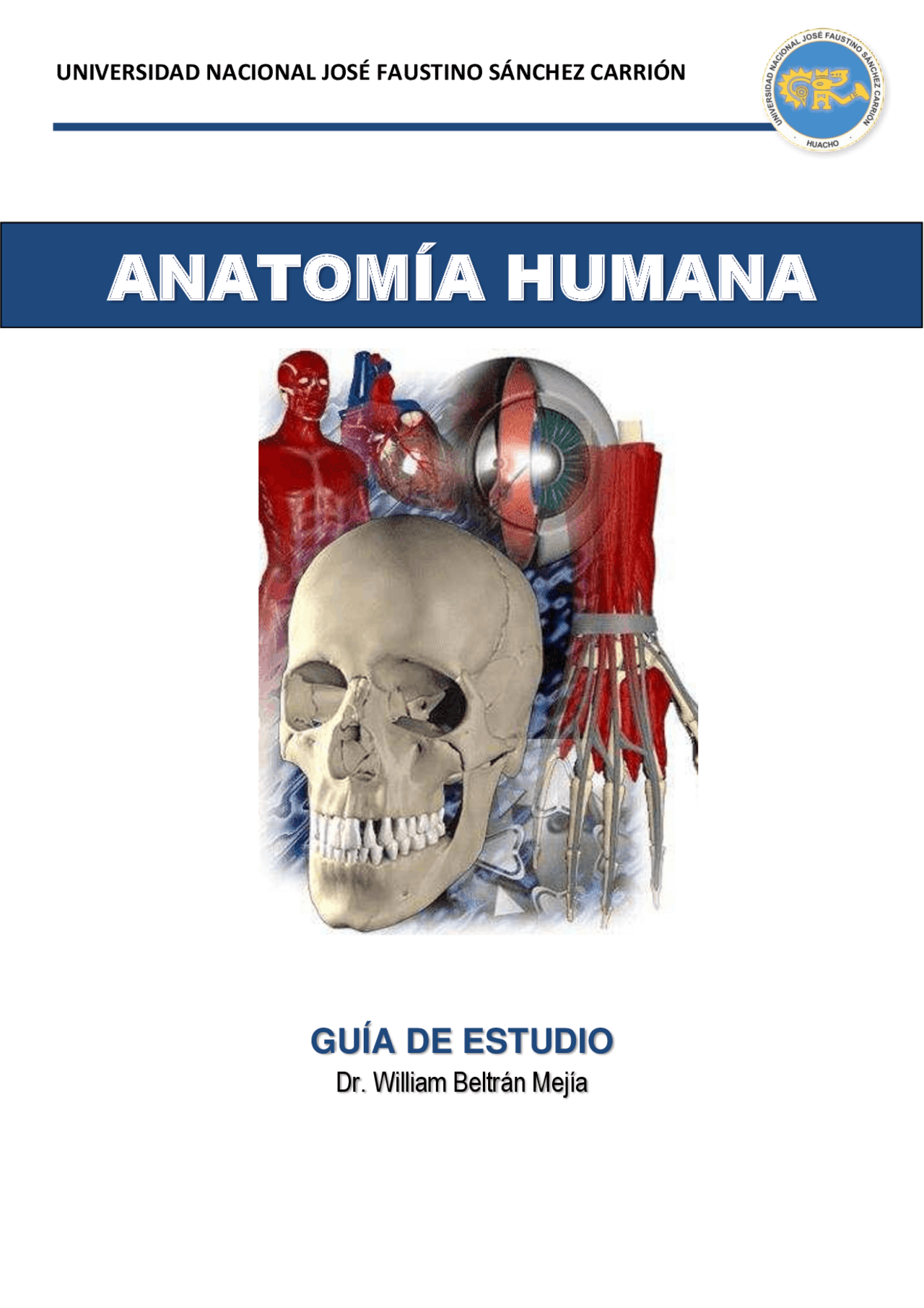 Anatomía Y Fisiología Diapositivas De Anatomía Docsity
