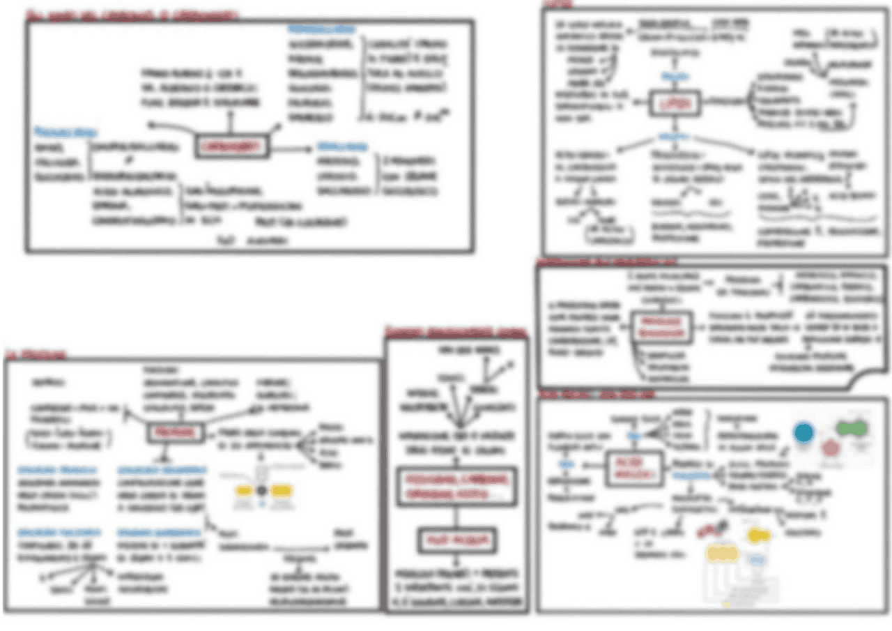 Schemi Di Biologia Cellulare Professioni Sanitarie Schemi E Mappe Concettuali Di Biologia