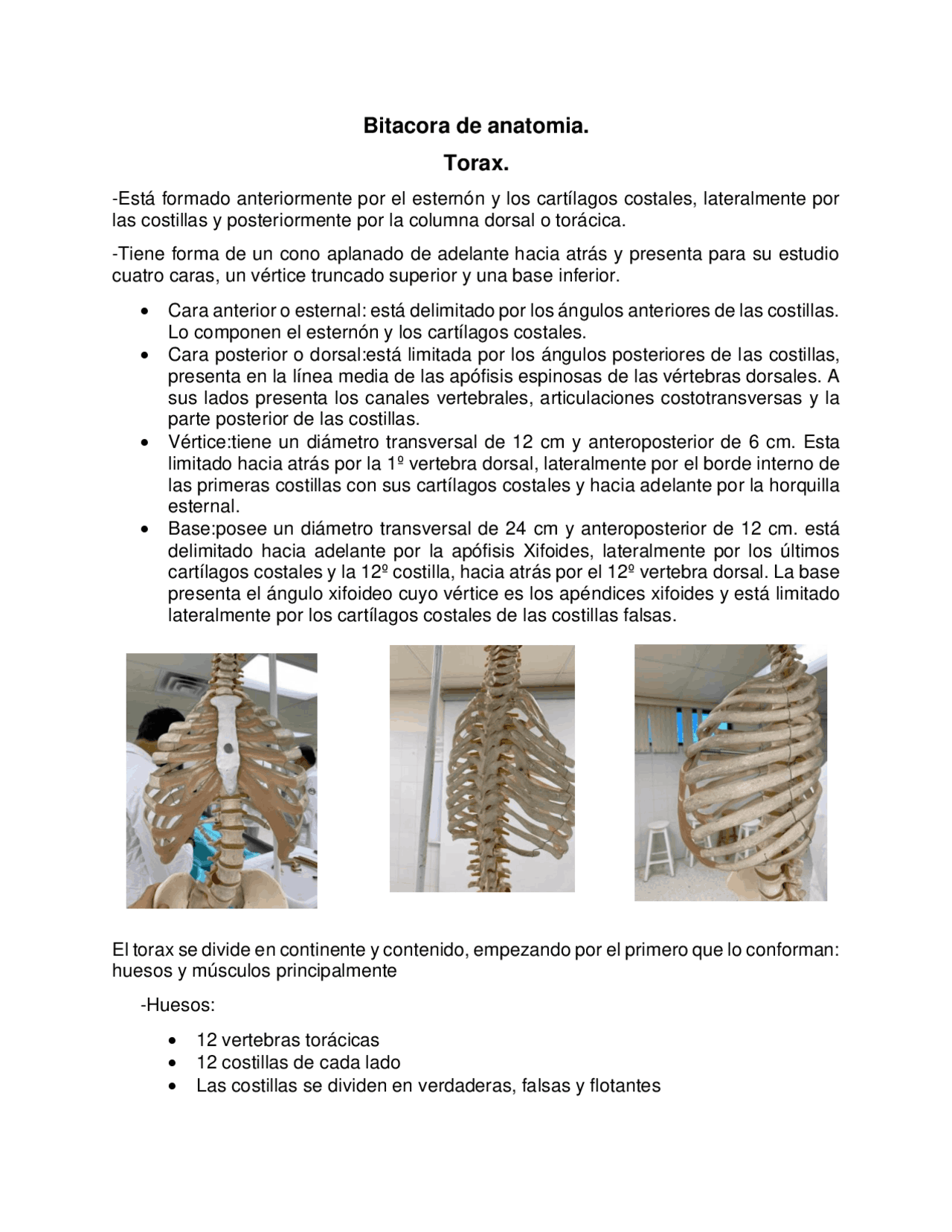 Anato Cuestionarios Y Ejercicios Y Cuestiona Ejercicios De Anatomía