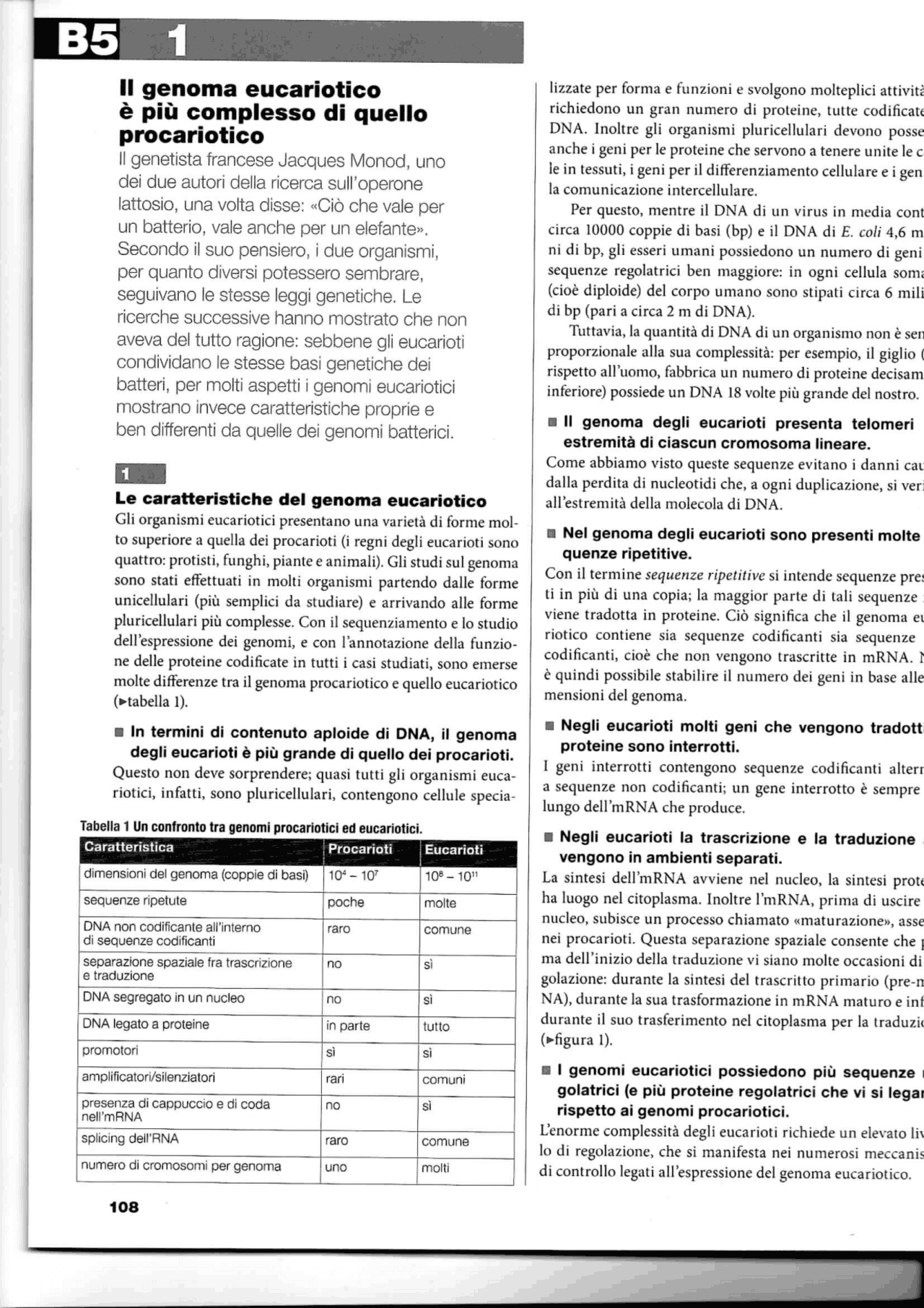 Regolazionegenicaneglieucariotipdf Dispense Di Scienze Della