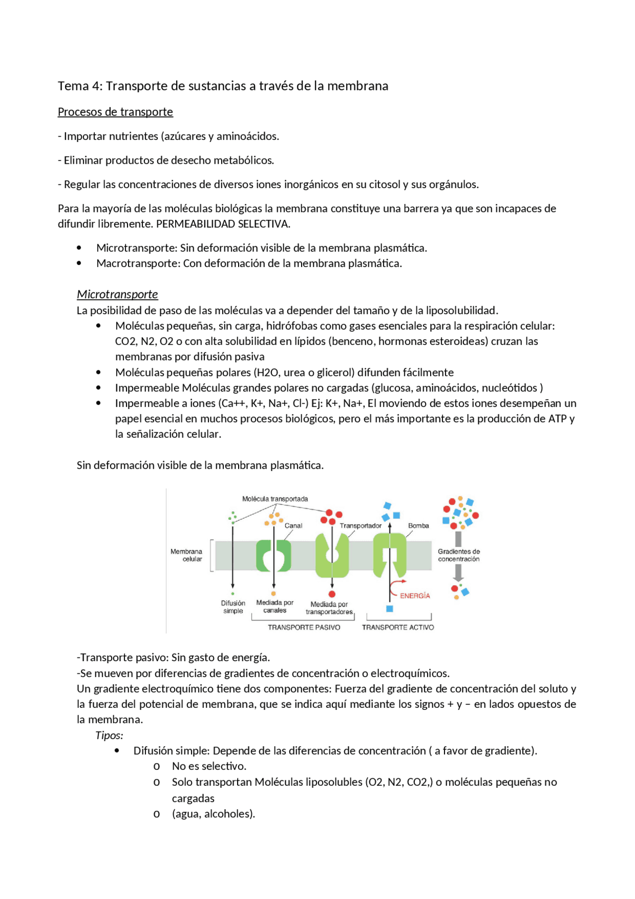 Membrana Plasmatica Biología Celular Diapositivas De Biología Celular