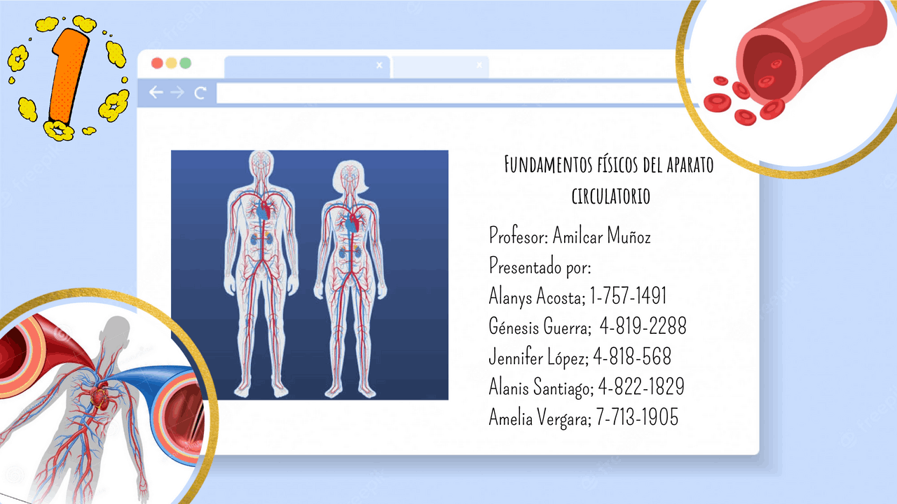 Fundamentos Físicos Del Sistema Circulatorio Diapositivas De