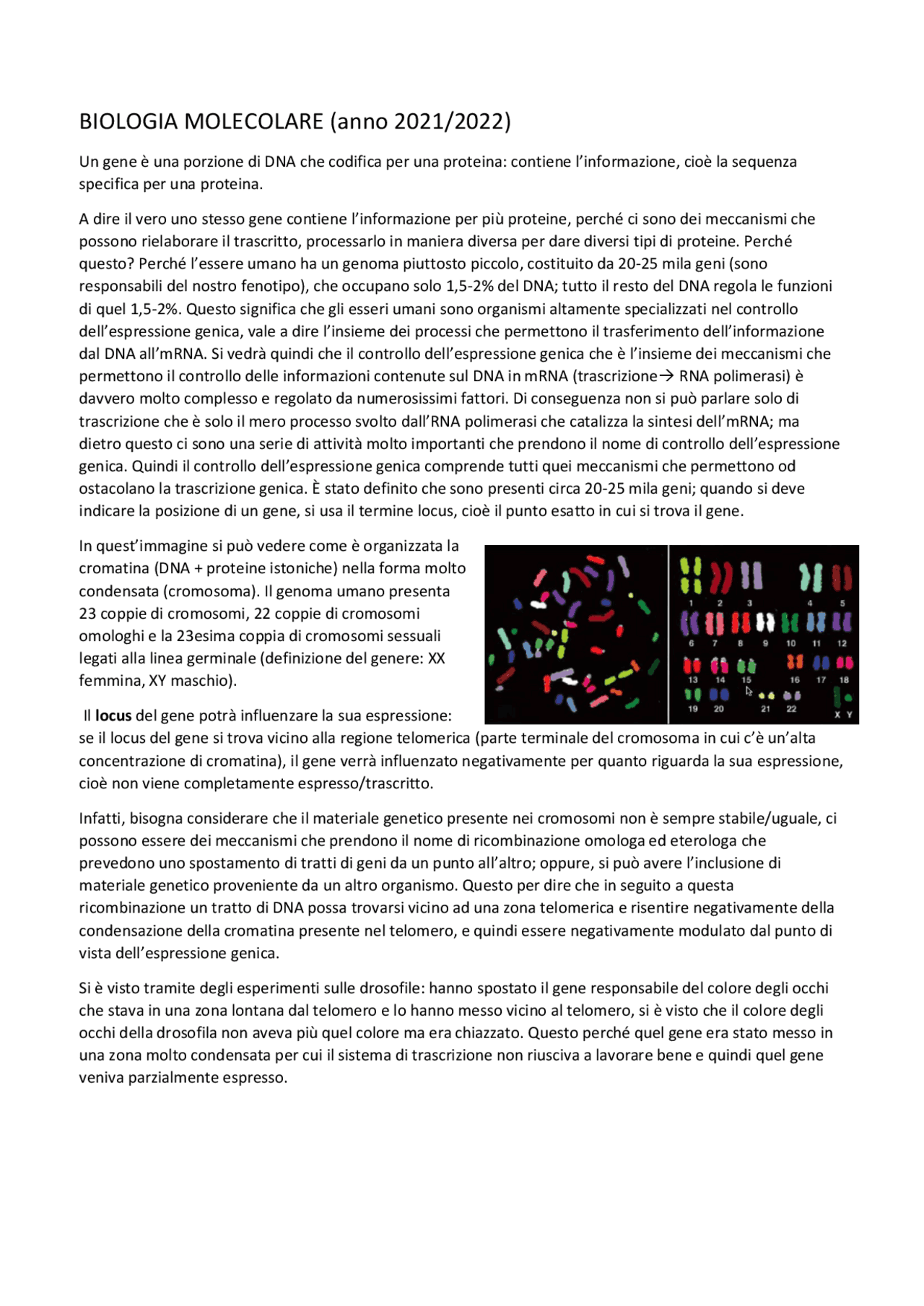 Biologia Molecolare Ctf Profssa Gabbianelli Sbobinature Di