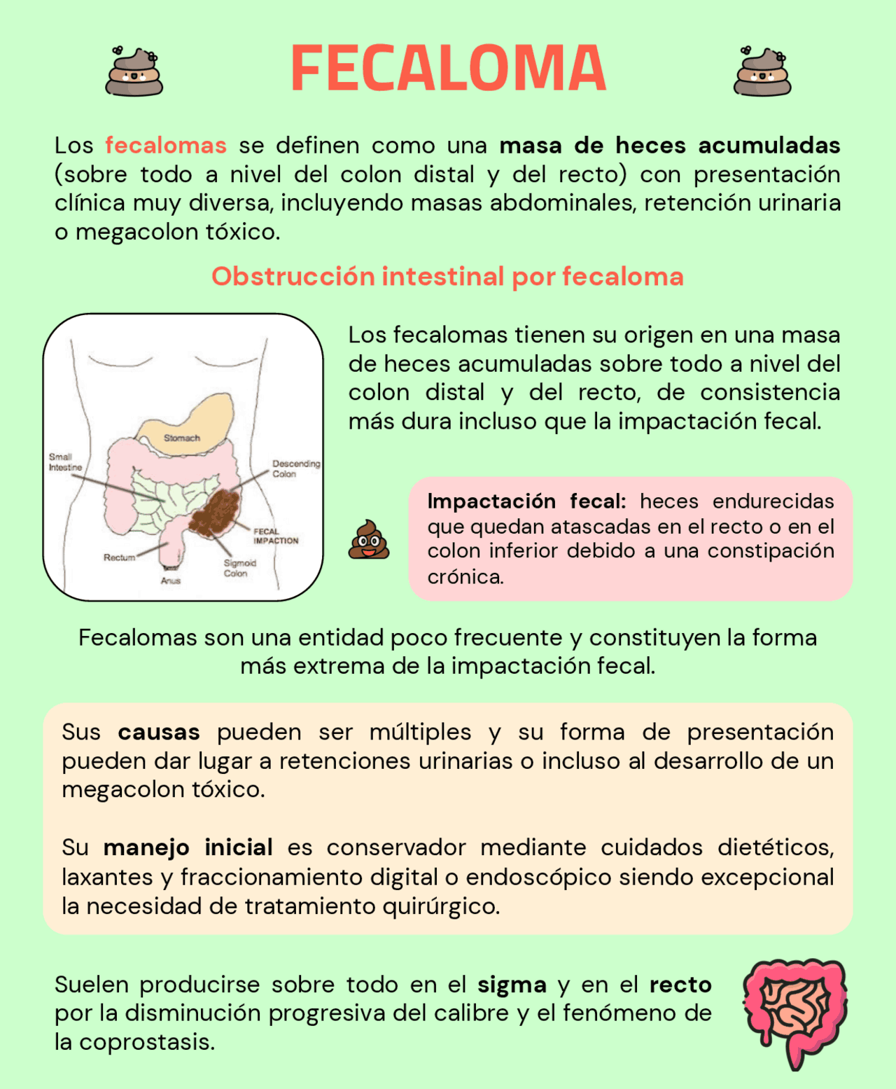 Fecaloma (obstrucción intestinal) | Apuntes de Gastroenterología | Docsity