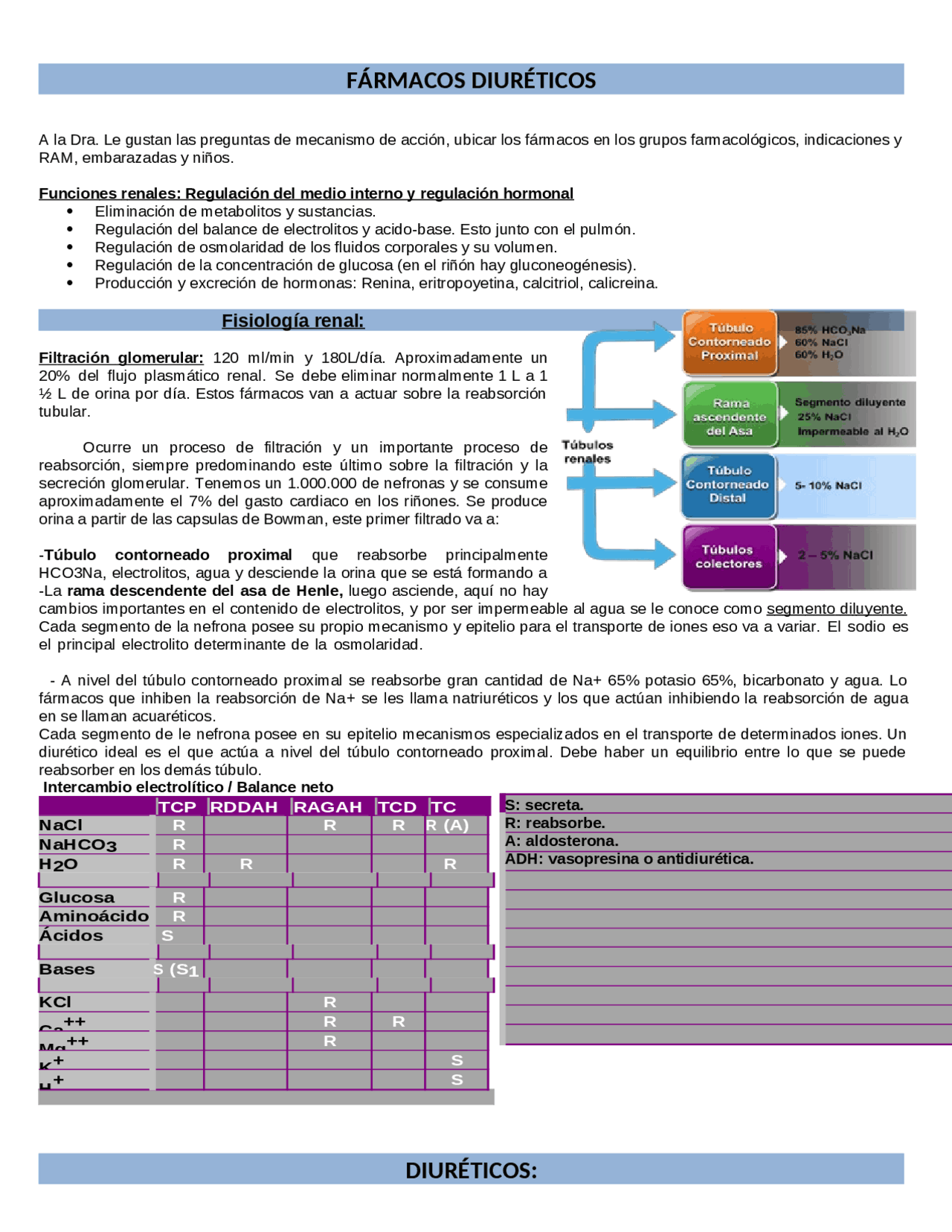 Farmacos Diuréticossss Apuntes De Farmacología Docsity