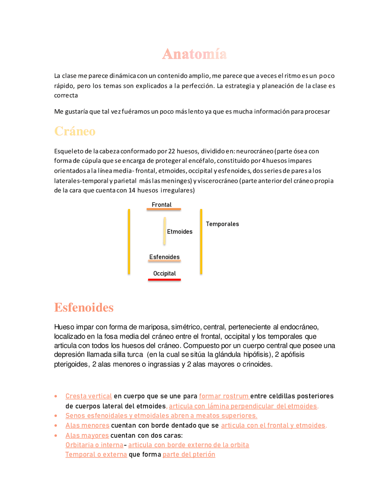 Guía Anatomía Básica Apuntes De Anatomía Docsity