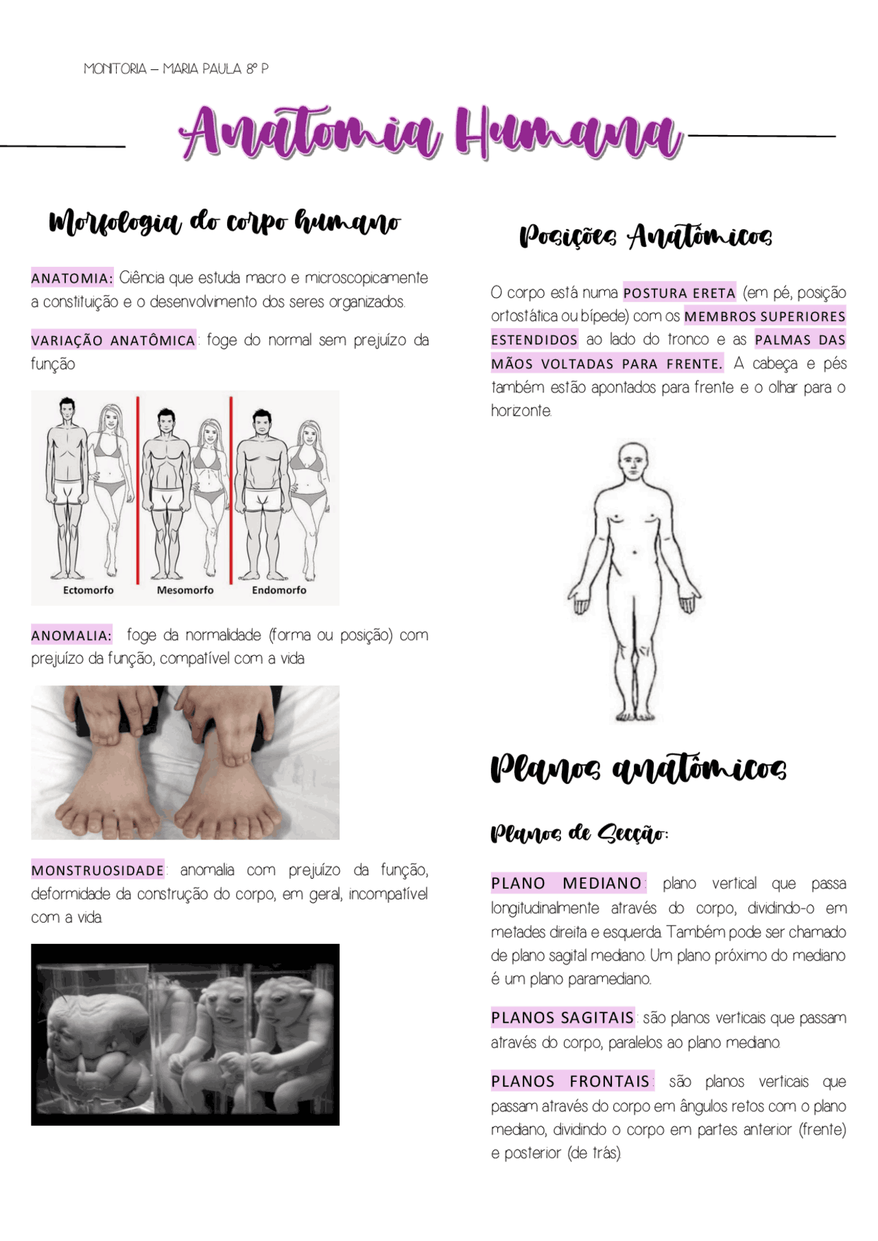 Resumos Digital Uninassau Resumos Infectologia Docsity