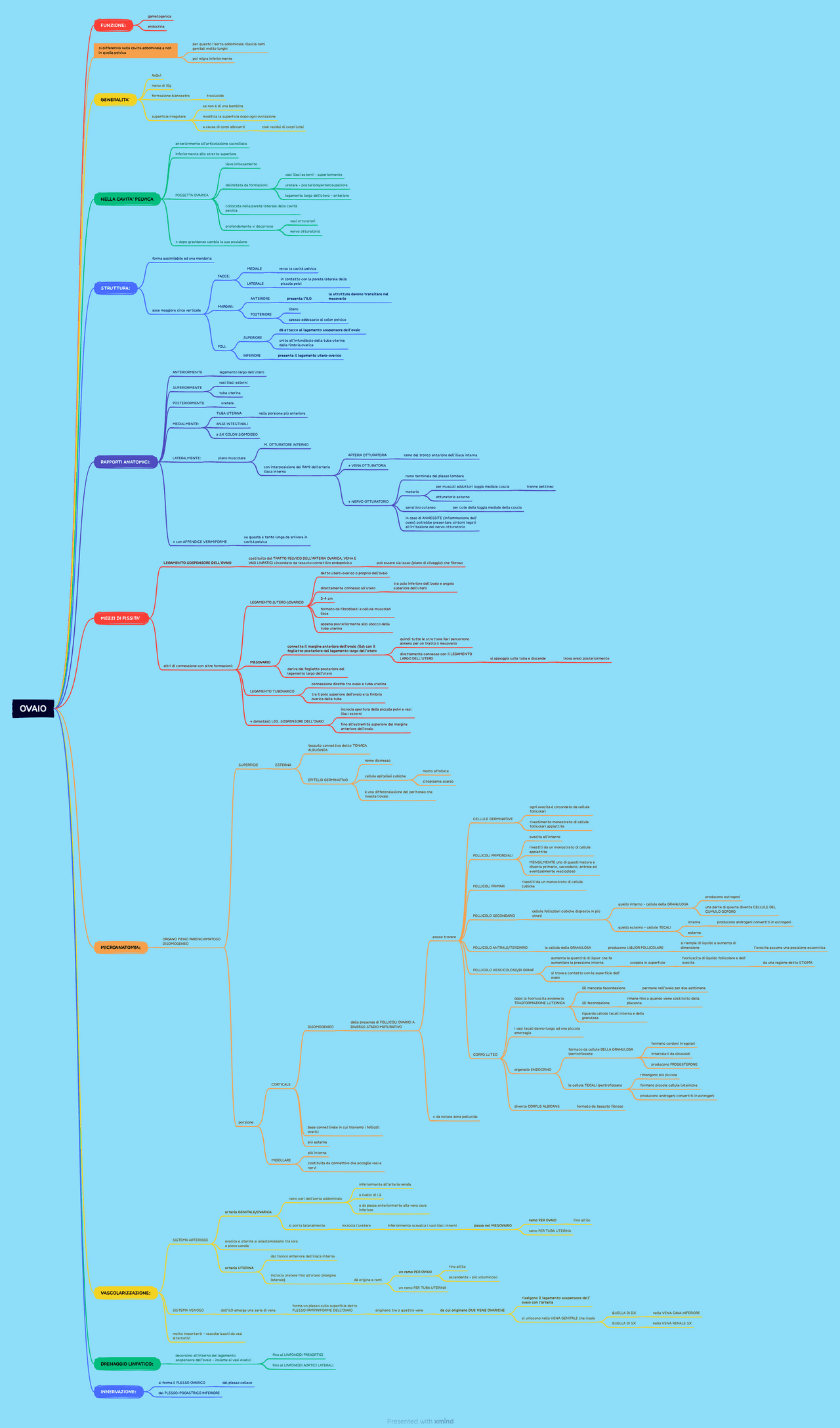 Ovaio Anatomia Umana Mappa Dettagliata Schemi E Mappe Concettuali